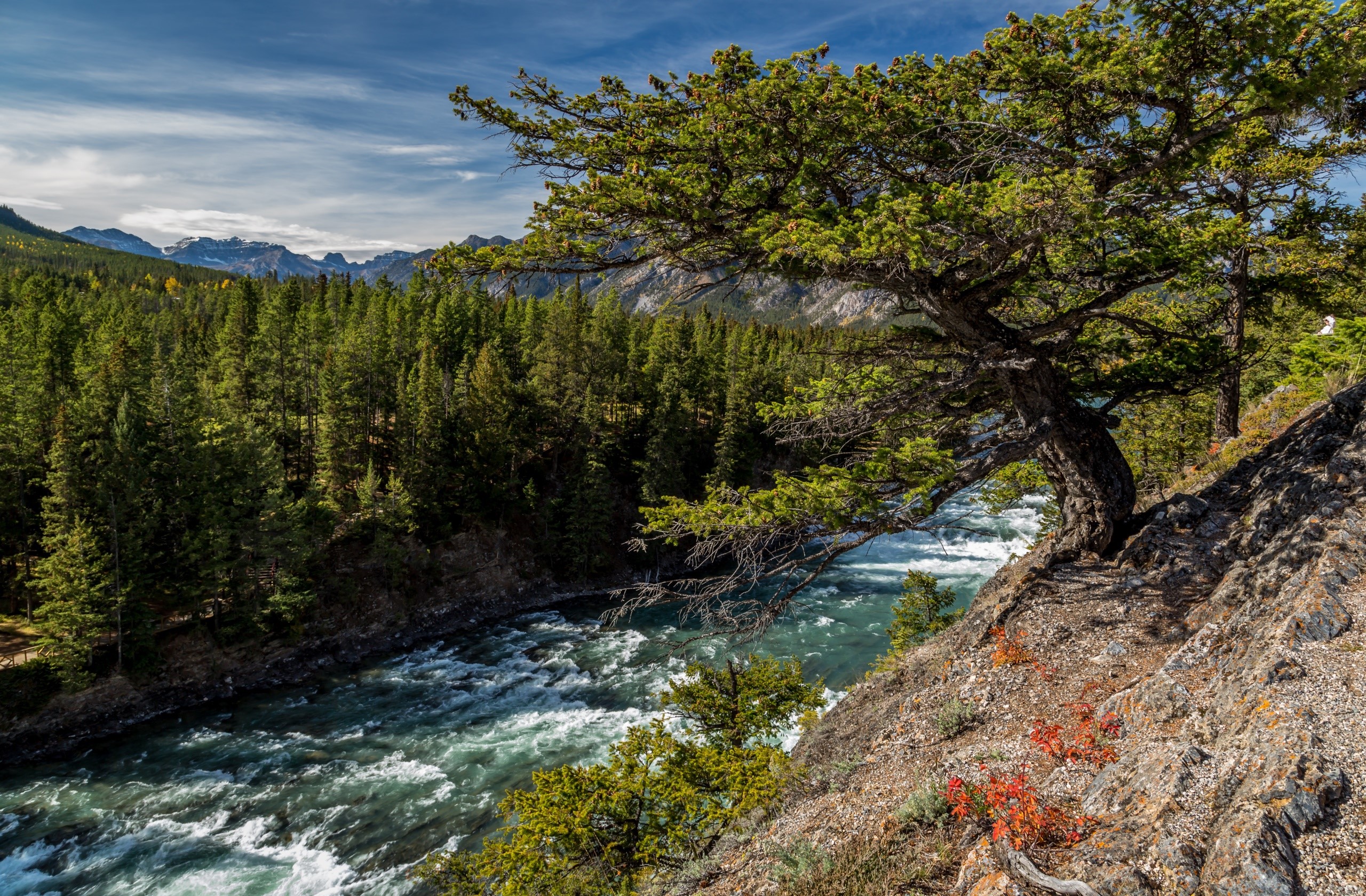 canada, landscape, nature HD Wallpaper