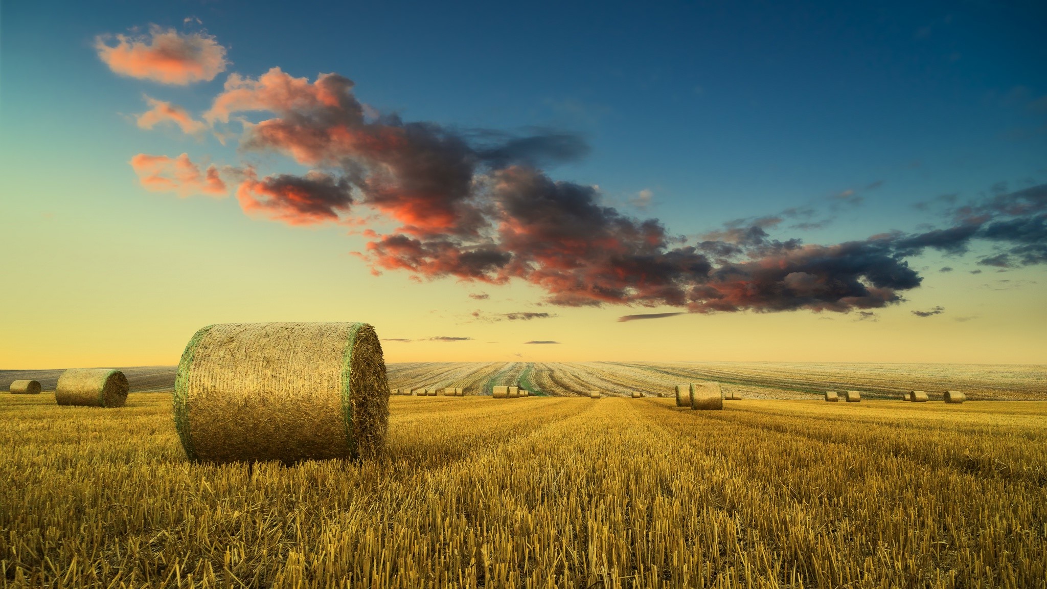 nature, plants, landscape, clouds, field, grain, wheat, yellow HD Wallpaper