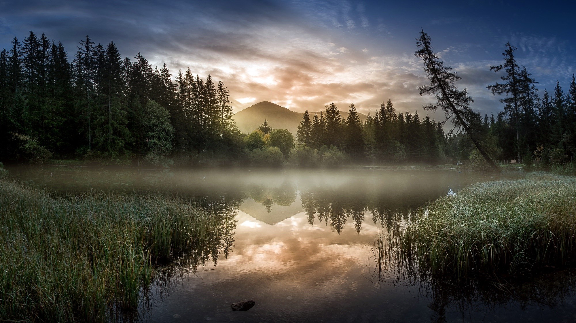 sunlight, morning, nature HD Wallpaper