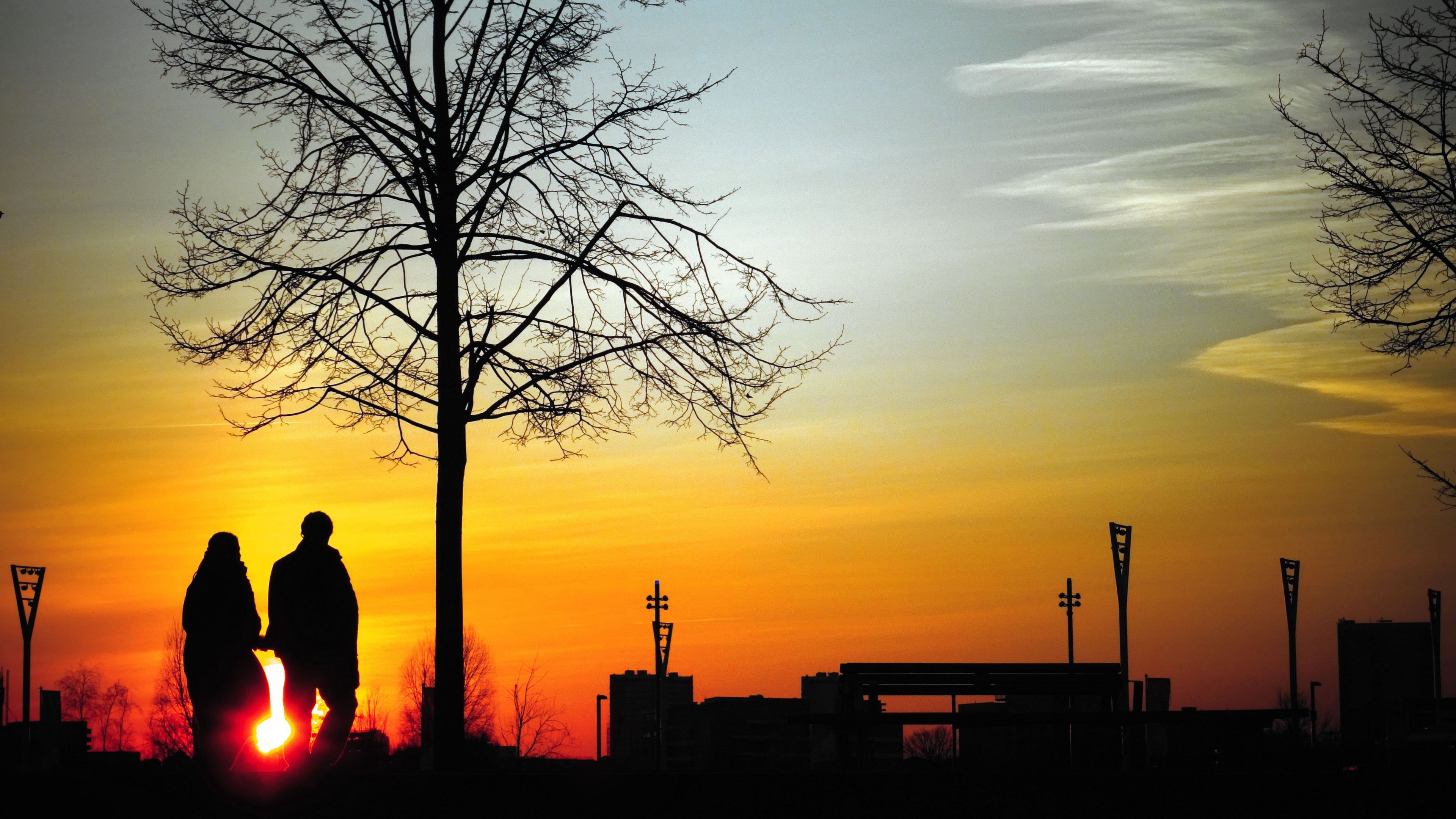 couple, silhouettes, sunset, walk, tree, 4k HD Wallpaper