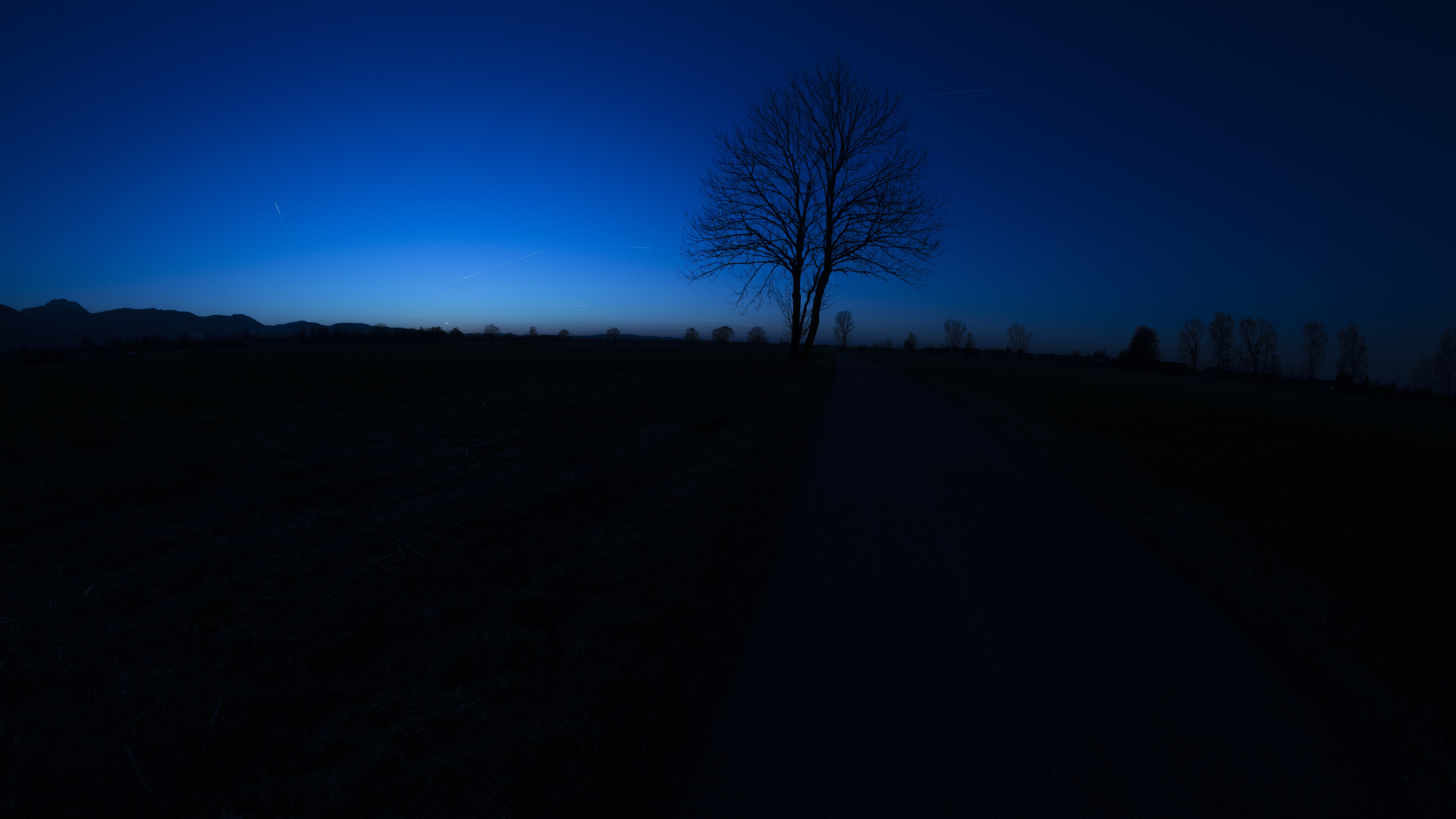 landscape, nature, night, sky, trees, blue HD Wallpaper