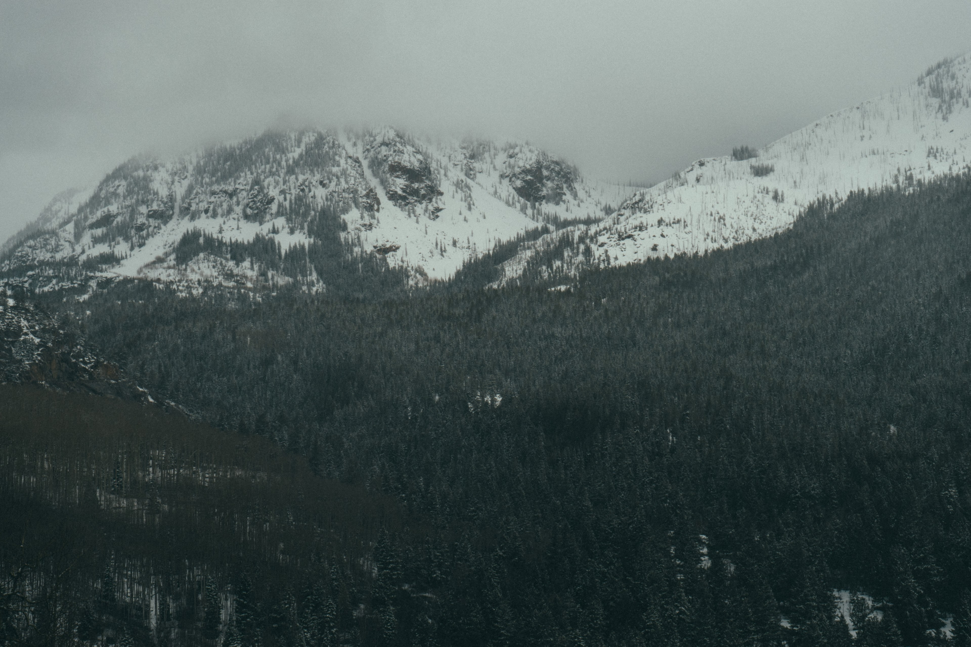 trees on a hill in aspen and a snowcapped mountain with the peak ...