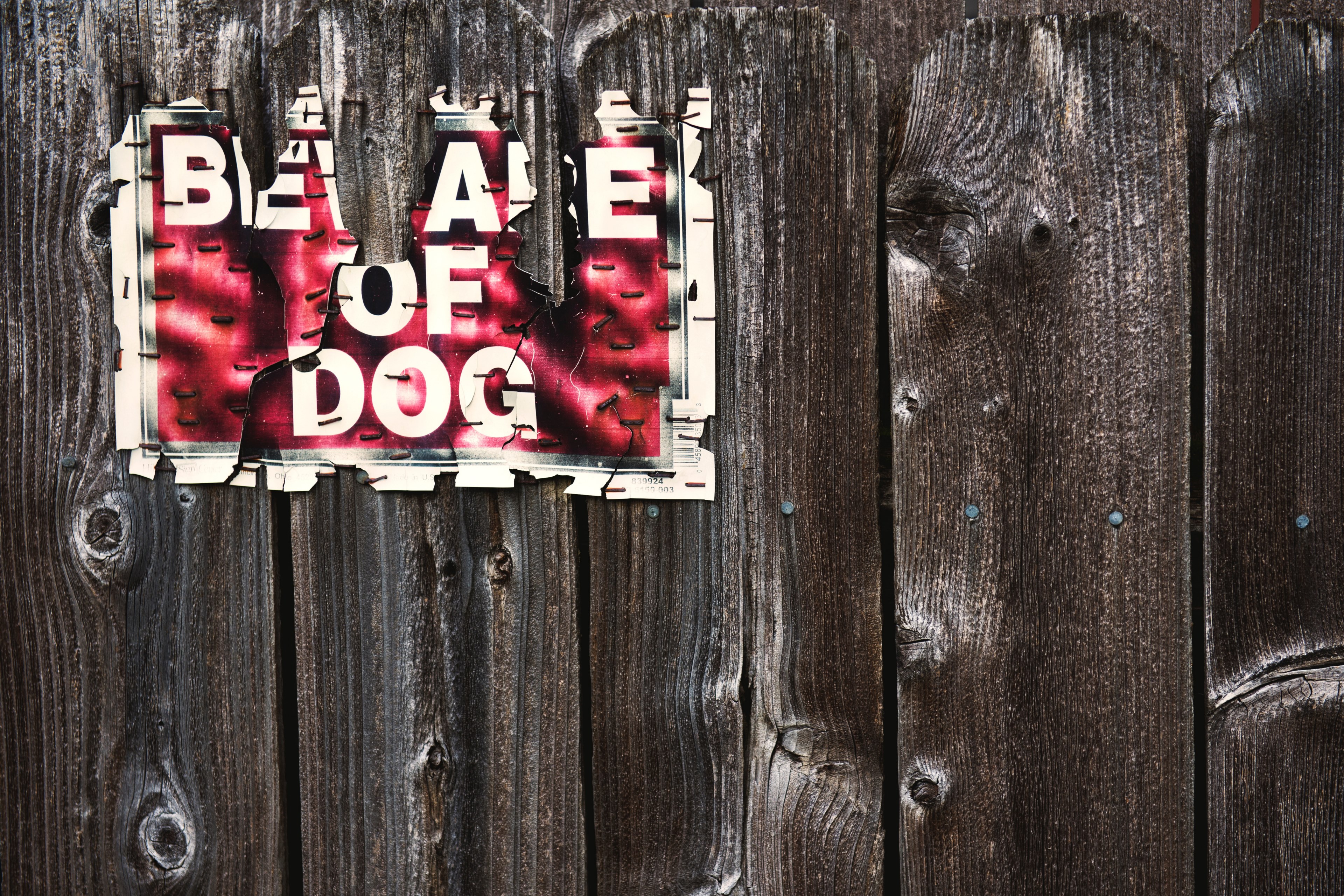 beware 4k HD Wallpaper