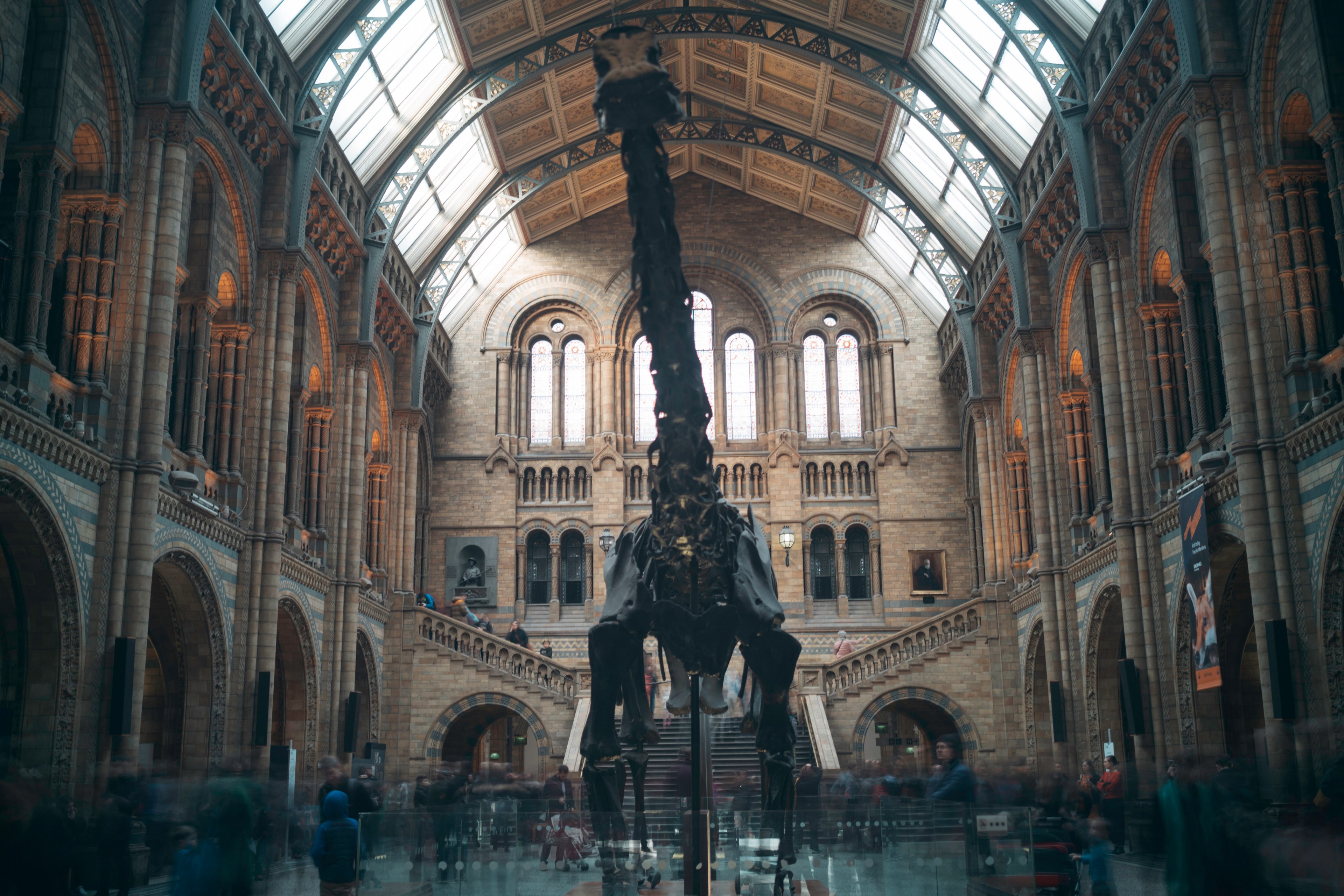 Dippy 4K Hd Wallpaper