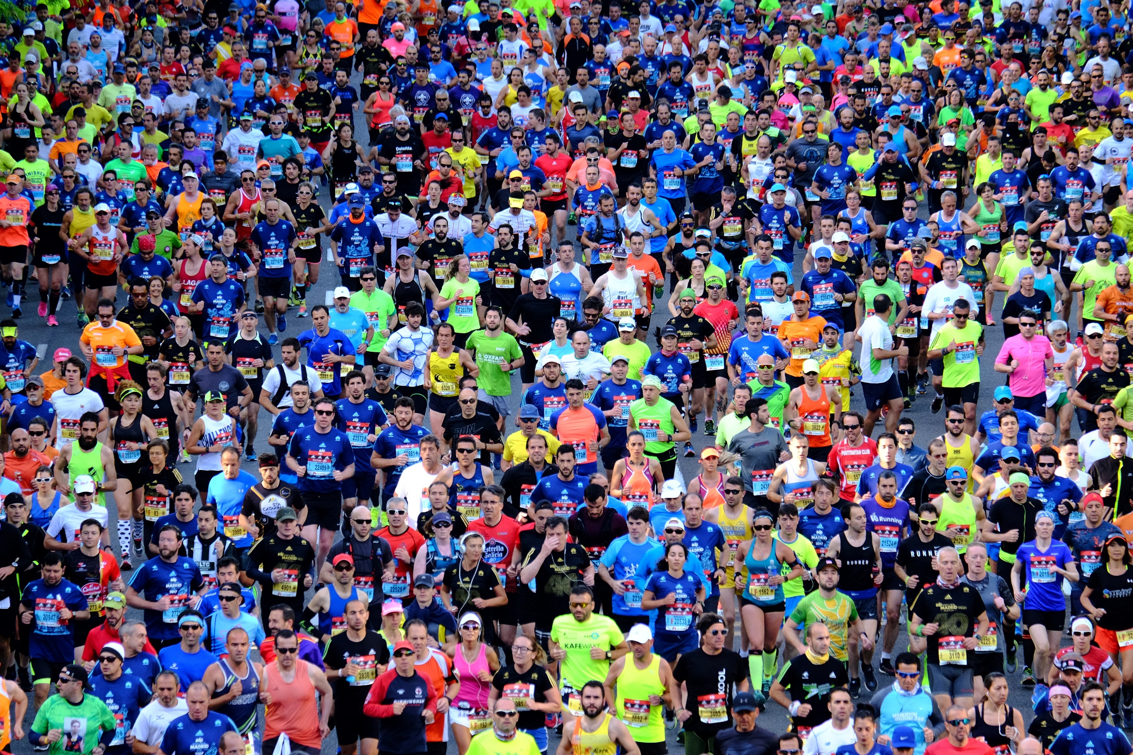 a large group of marathon participants, _people running marathon 4k HD ...