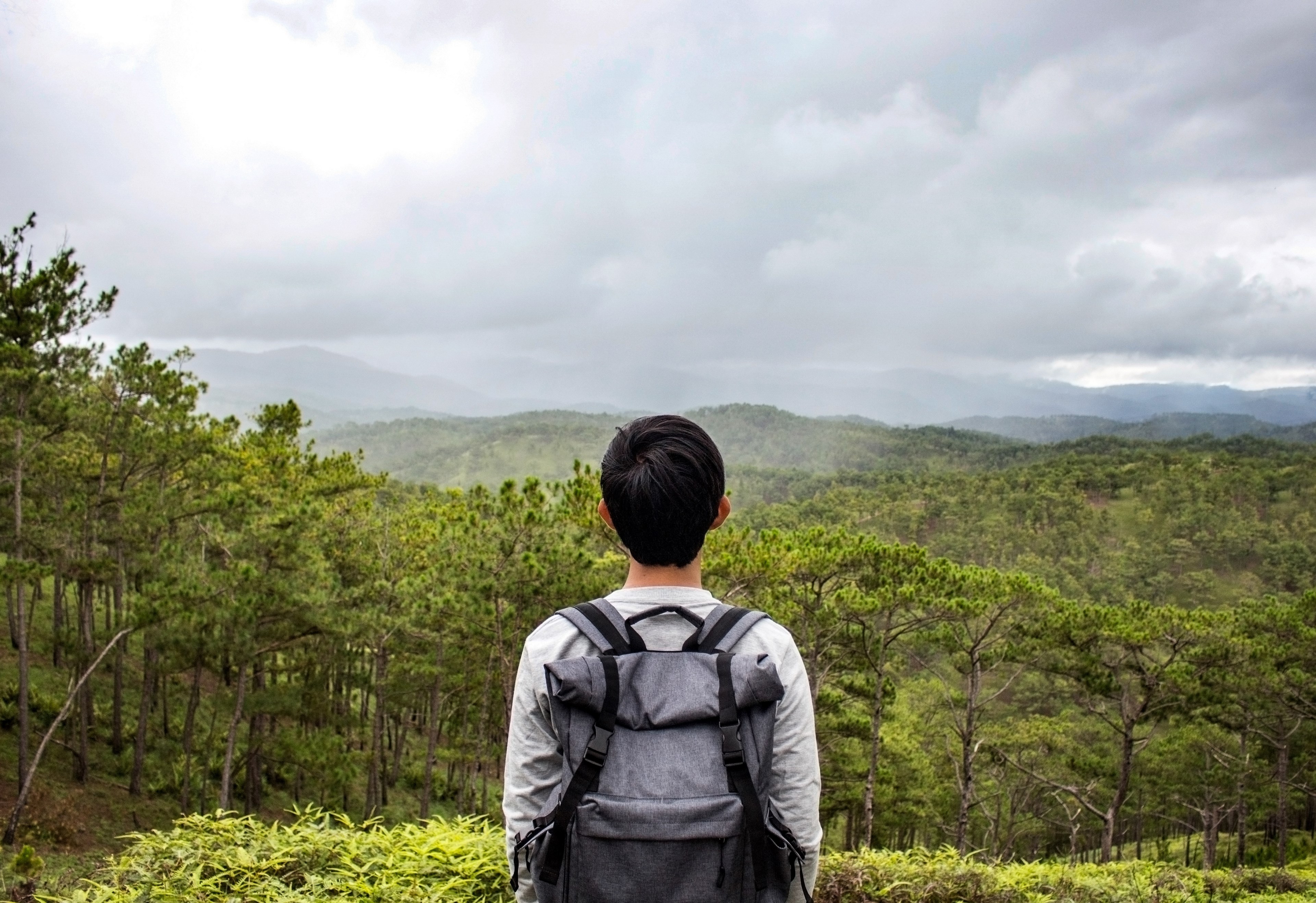 man male backpack and trees 4k HD Wallpaper