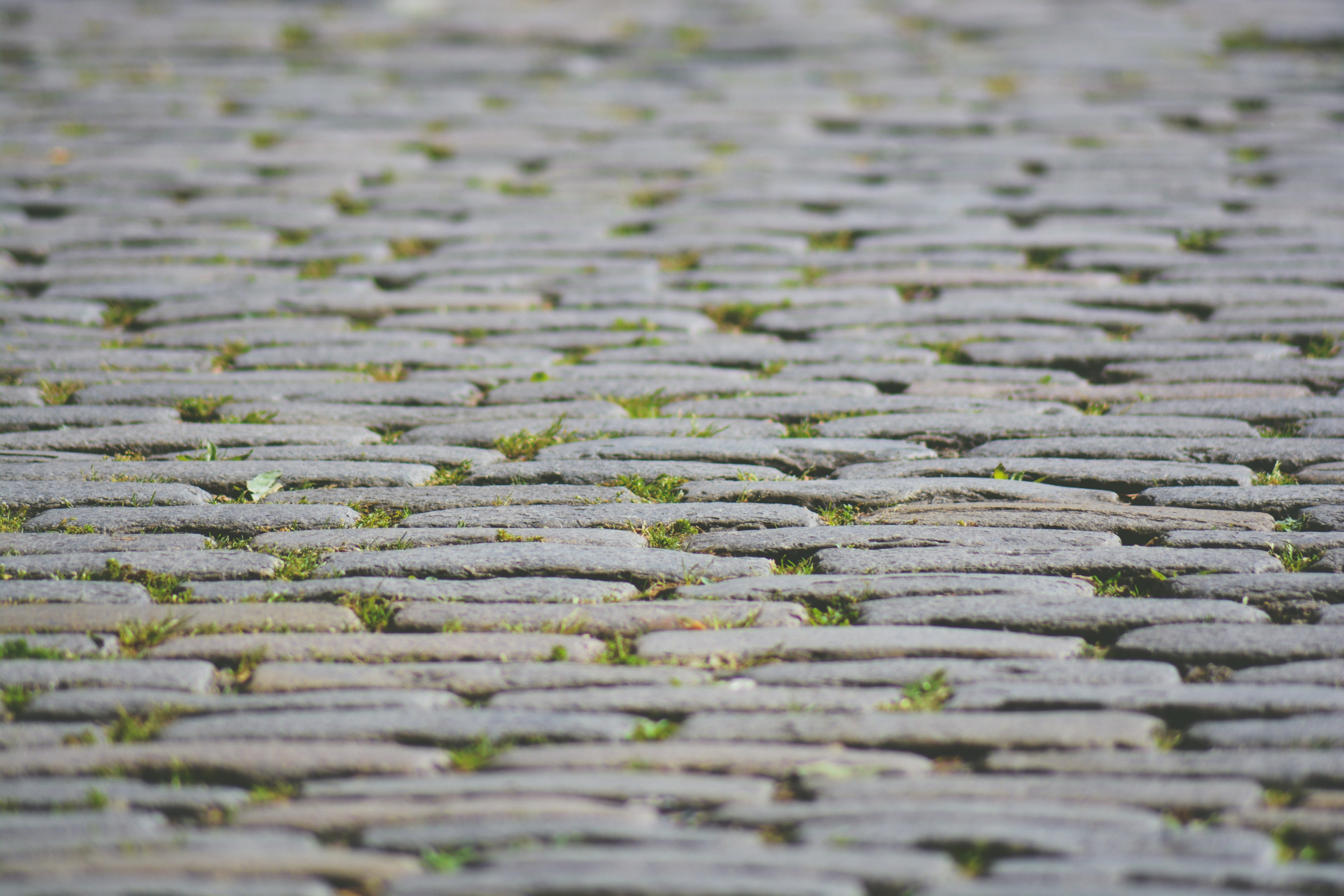 Road With Grass Wallpaper