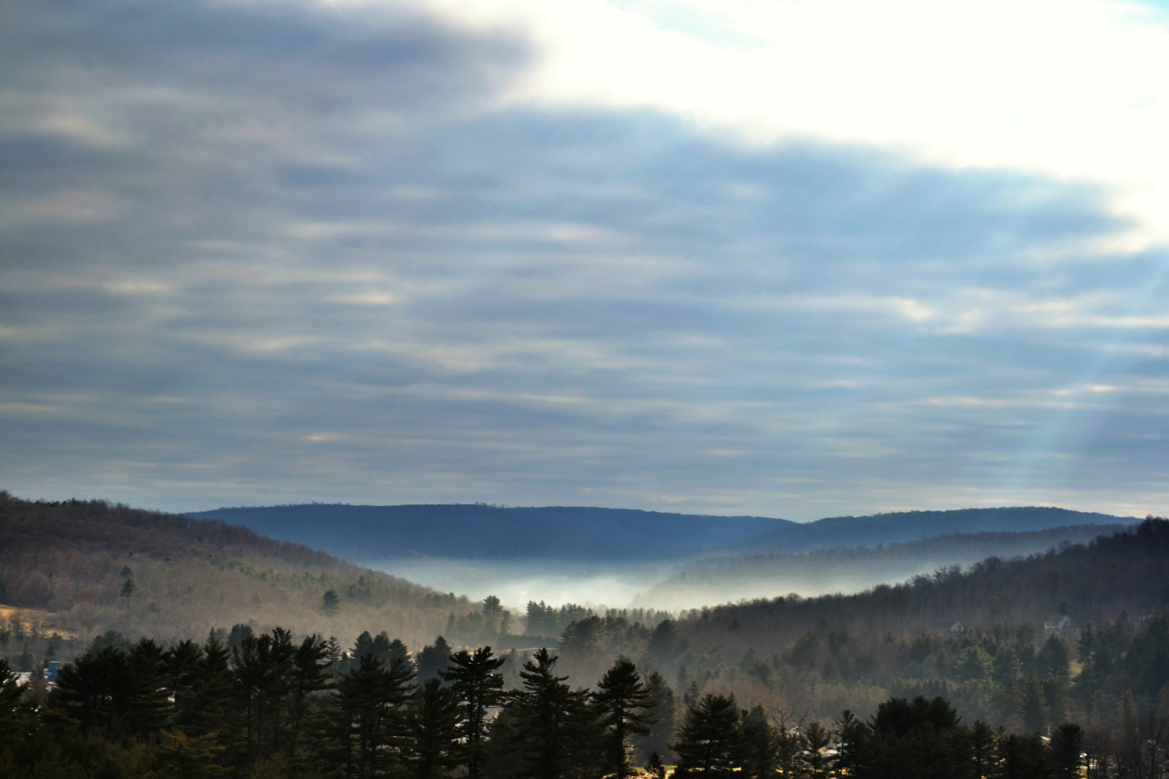 tree mountain cloud and cloudy 4k HD Wallpaper