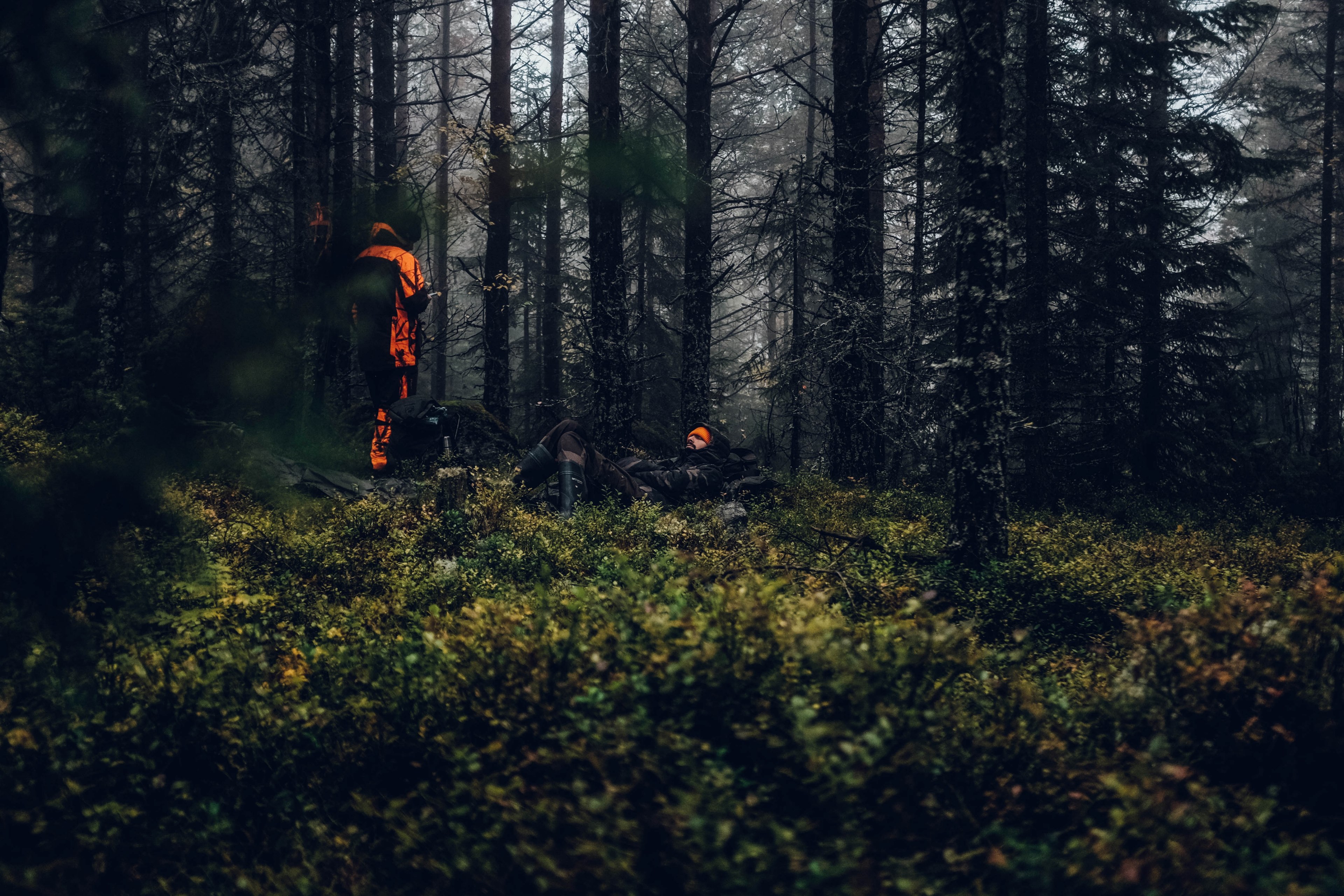 Lost In The Forest 4K Hd Wallpaper