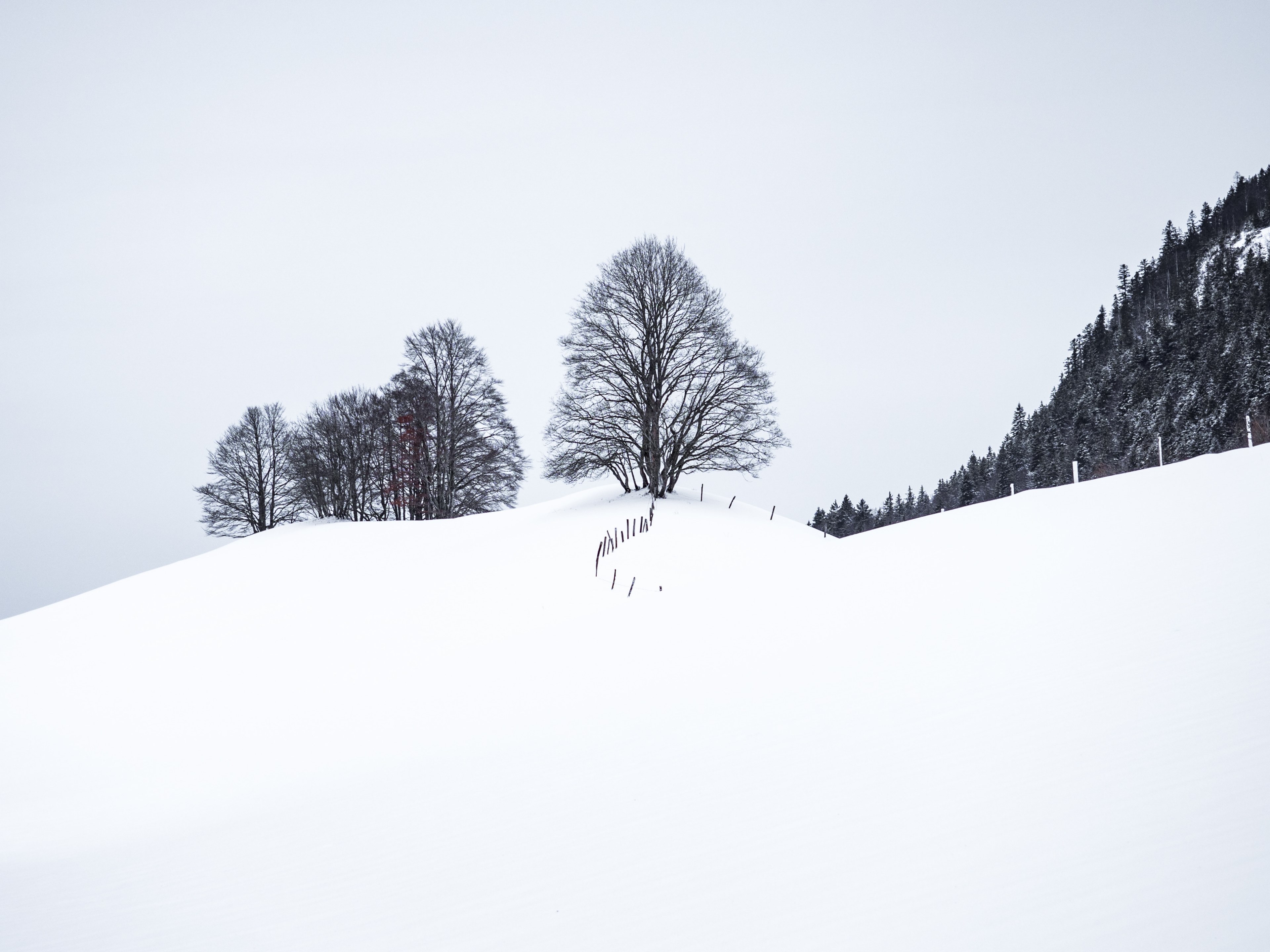white space 4k HD Wallpaper
