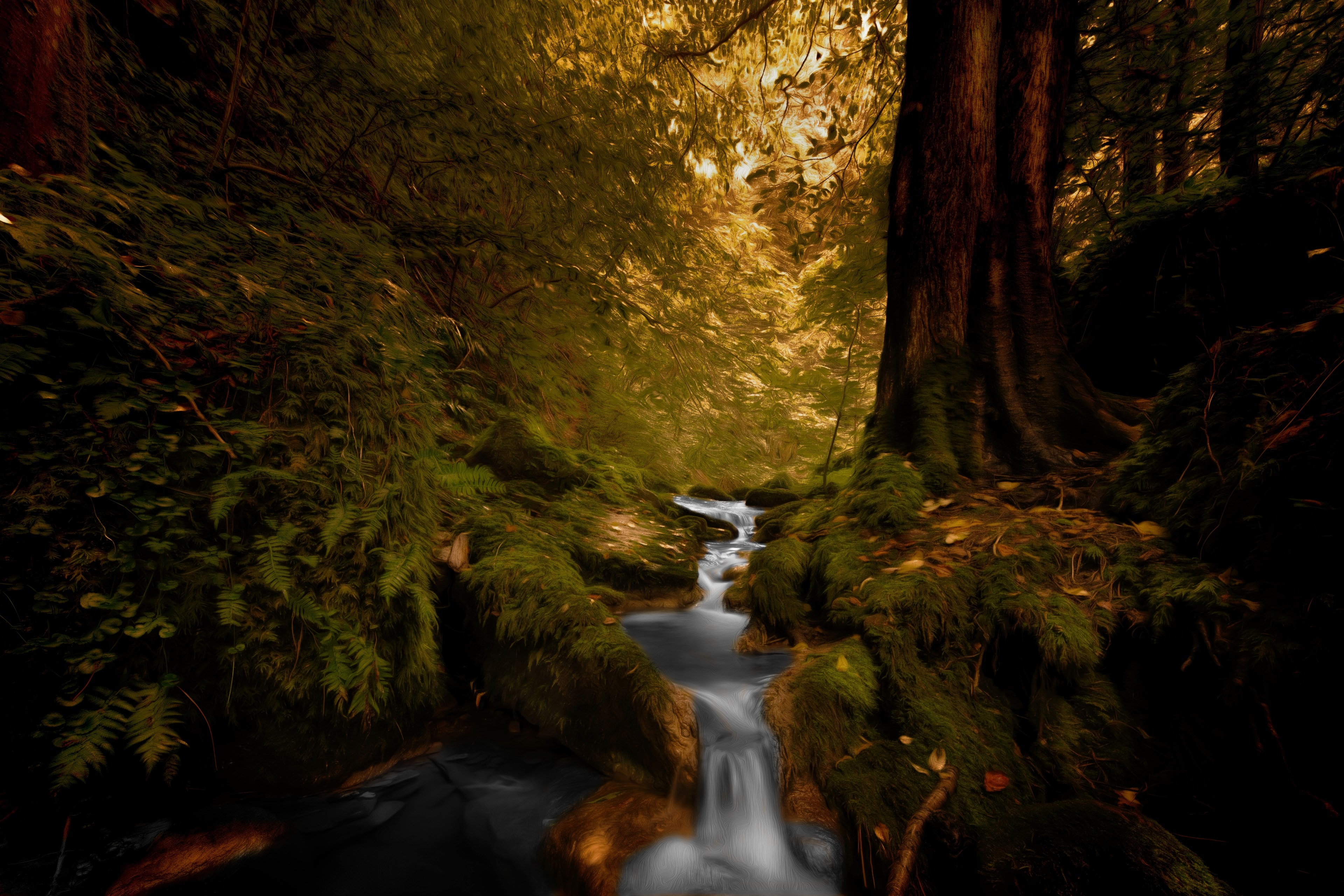 forest forever 4k HD Wallpaper