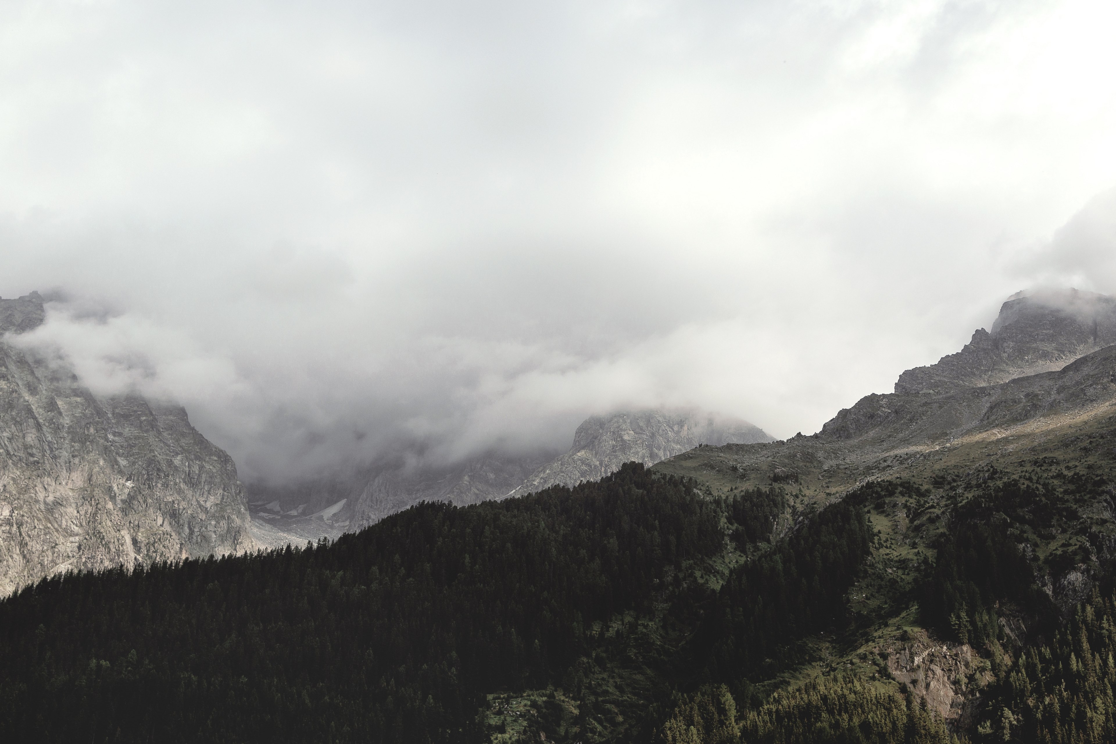 mountain cloud tree and forest 4k HD Wallpaper