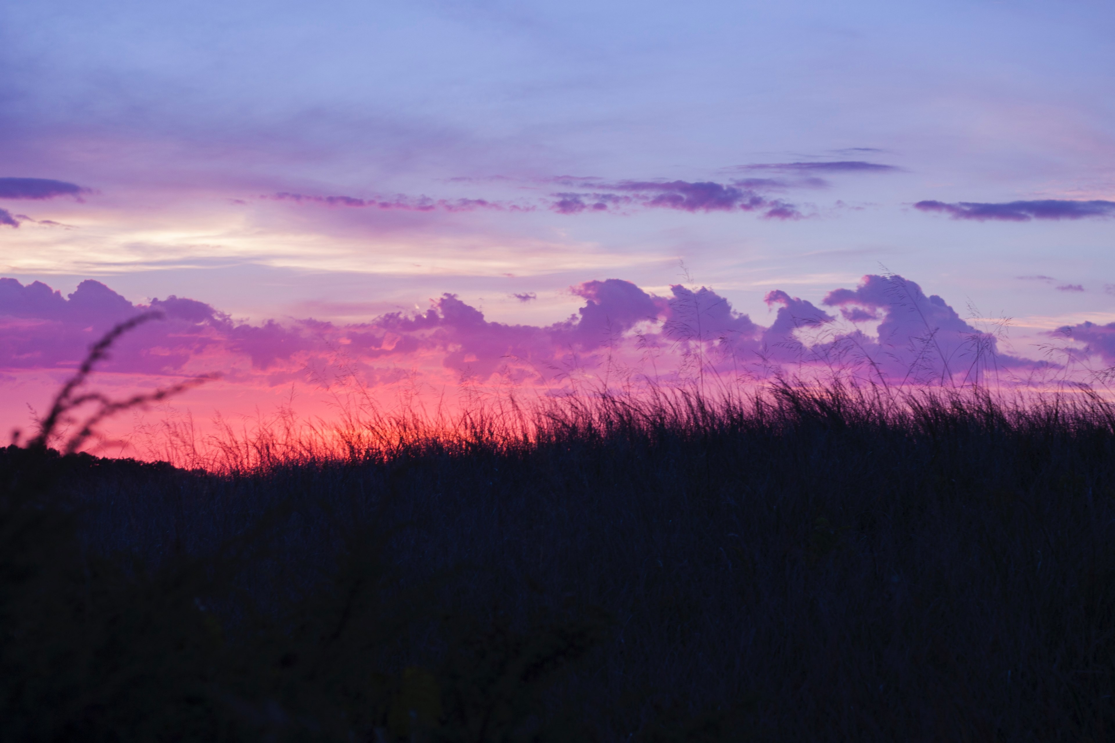 on them indiana nights 4k HD Wallpaper