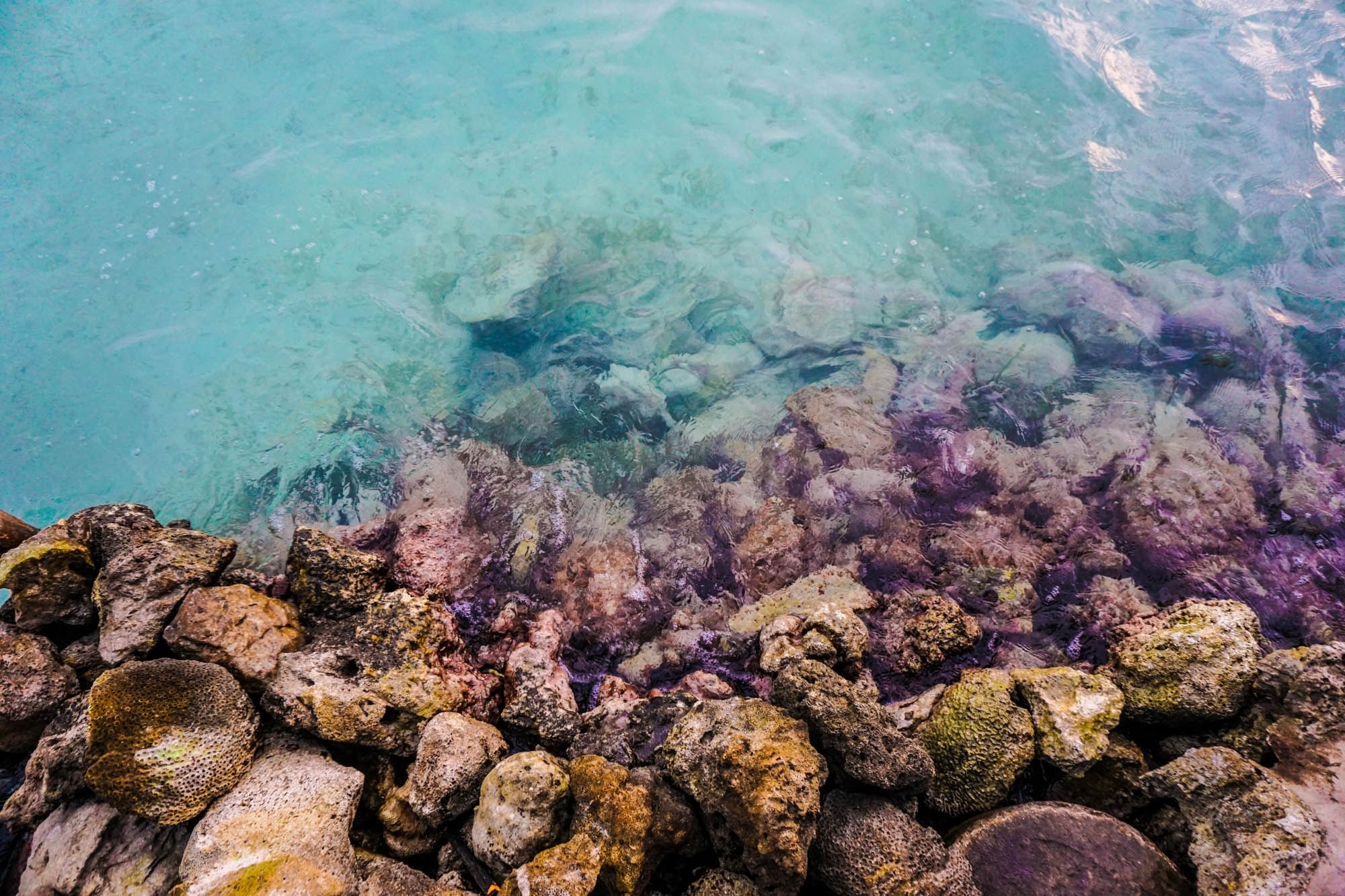 Wallpaper ID: 233431 / rock reef water and ocean hd 4k wallpaper free ...