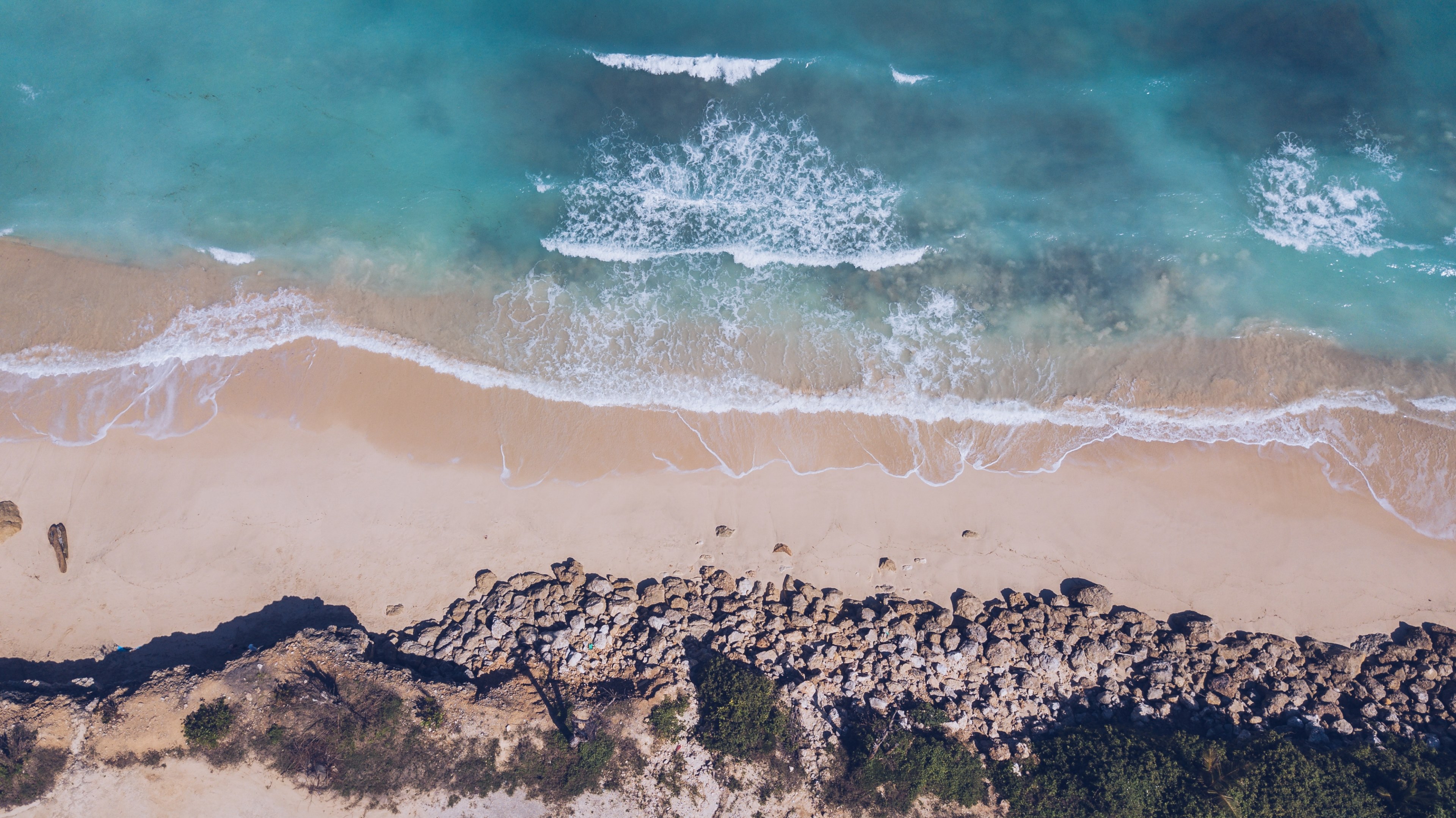 beach leaf green nature summer tropical sand 4k HD Wallpaper