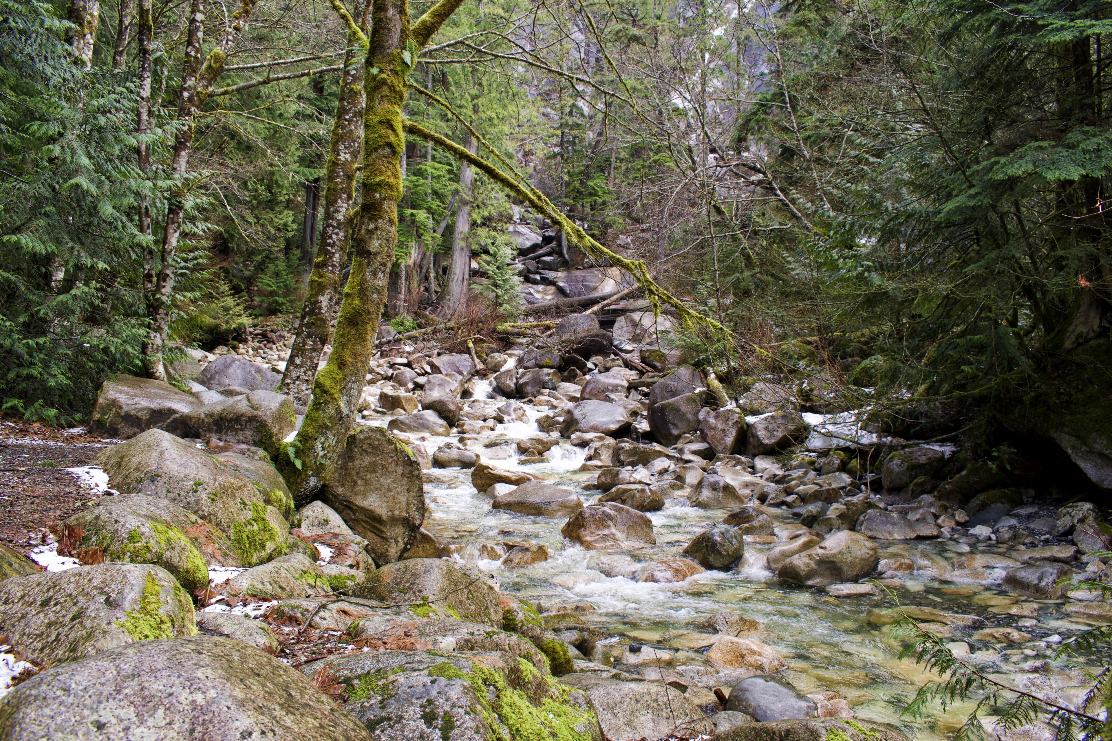 Creek 4K Hd Wallpaper