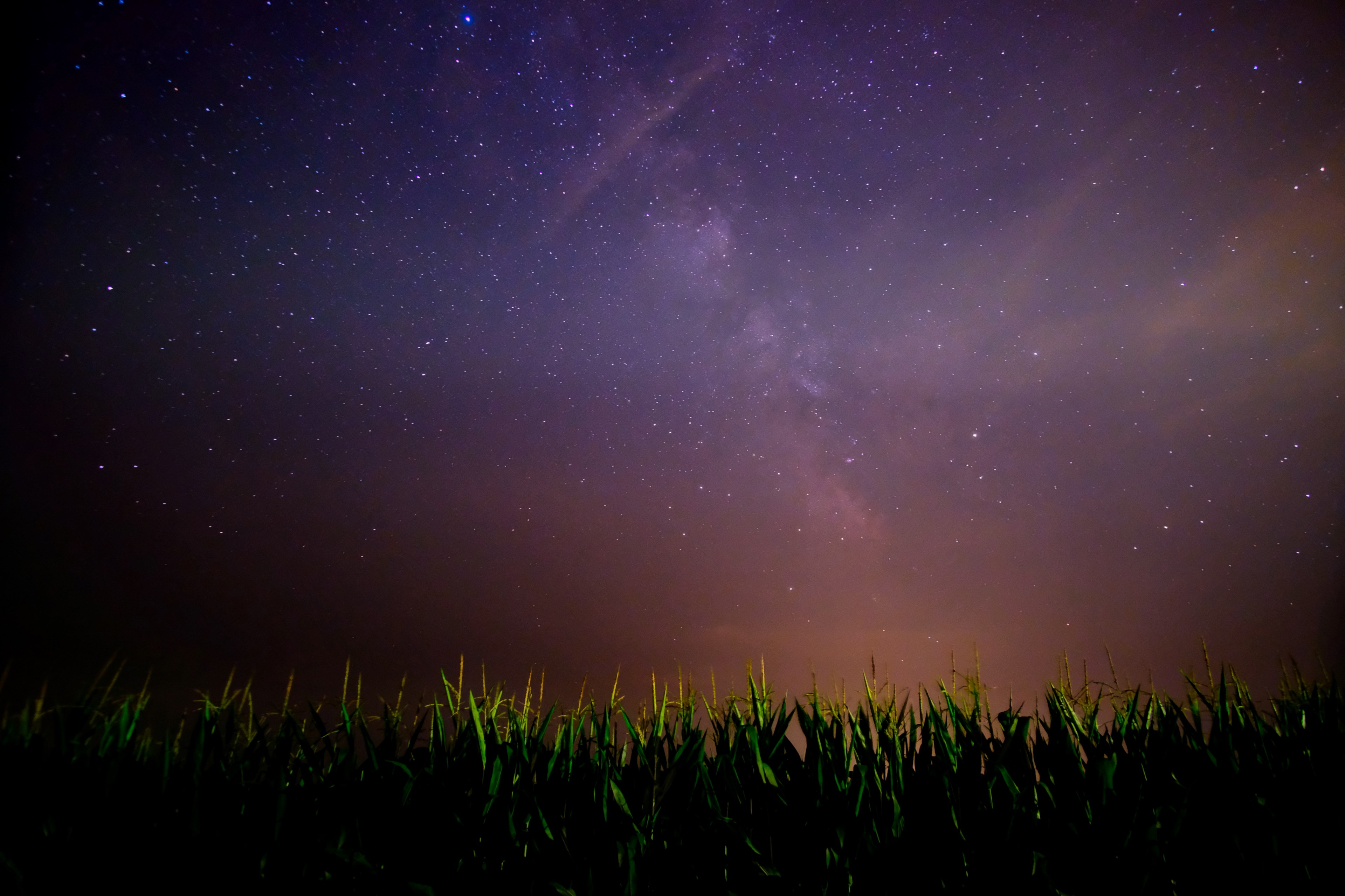 on them indiana nights 4k HD Wallpaper