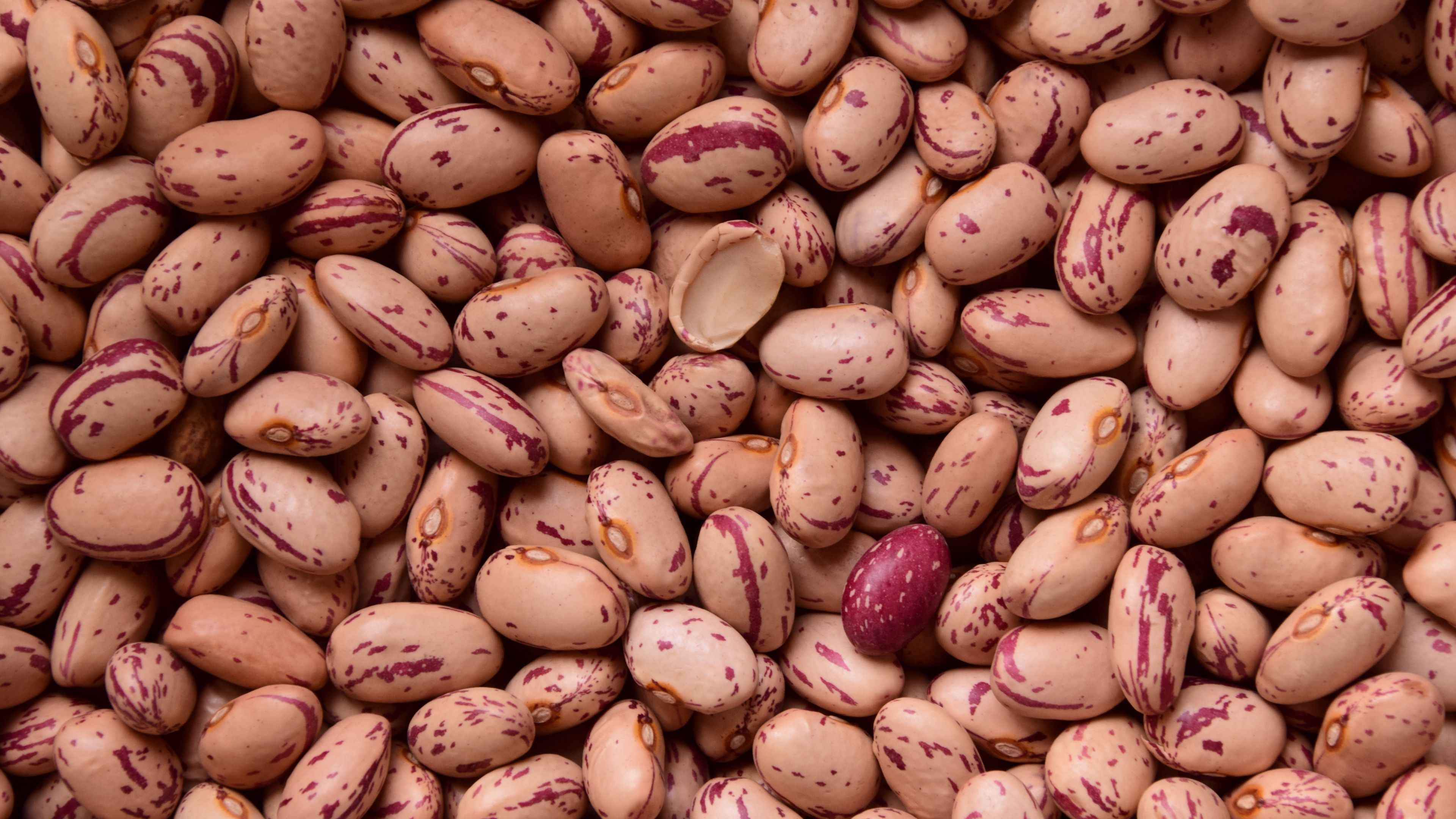 Wallpaper ID: 25585 / kidney beans, beans, seeds, 4k free download