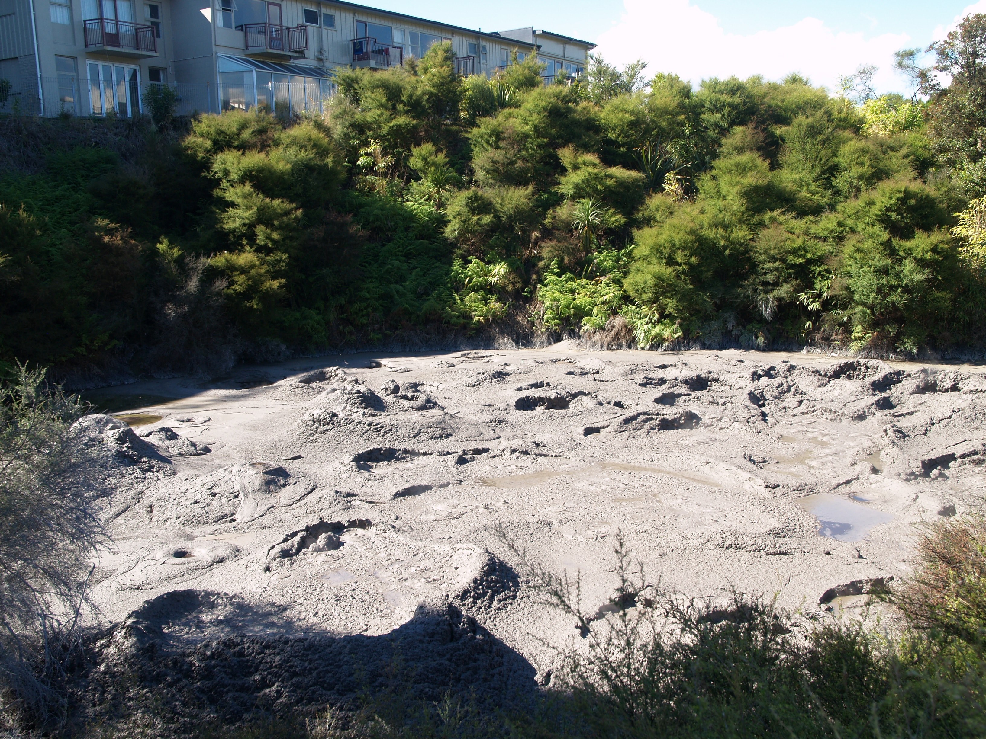 mud pot at te puia 4k HD Wallpaper