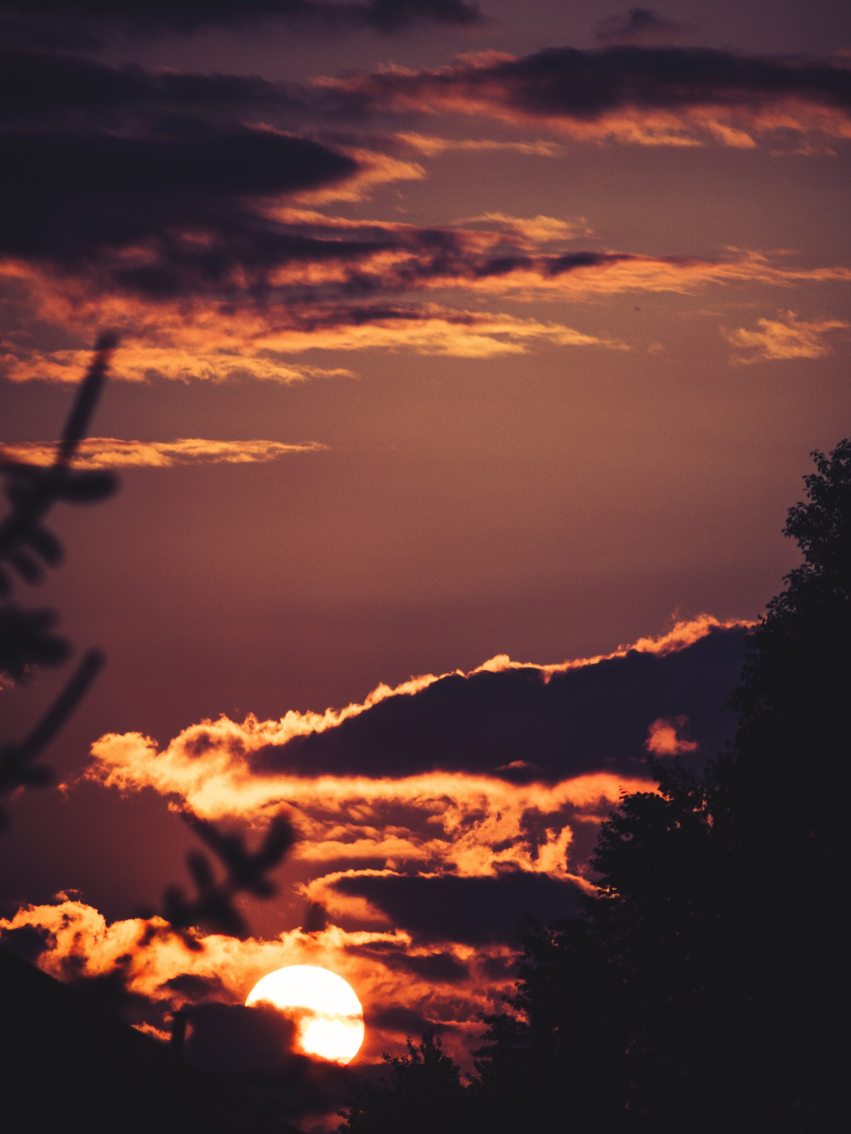golden hour 4k Phone HD Wallpaper