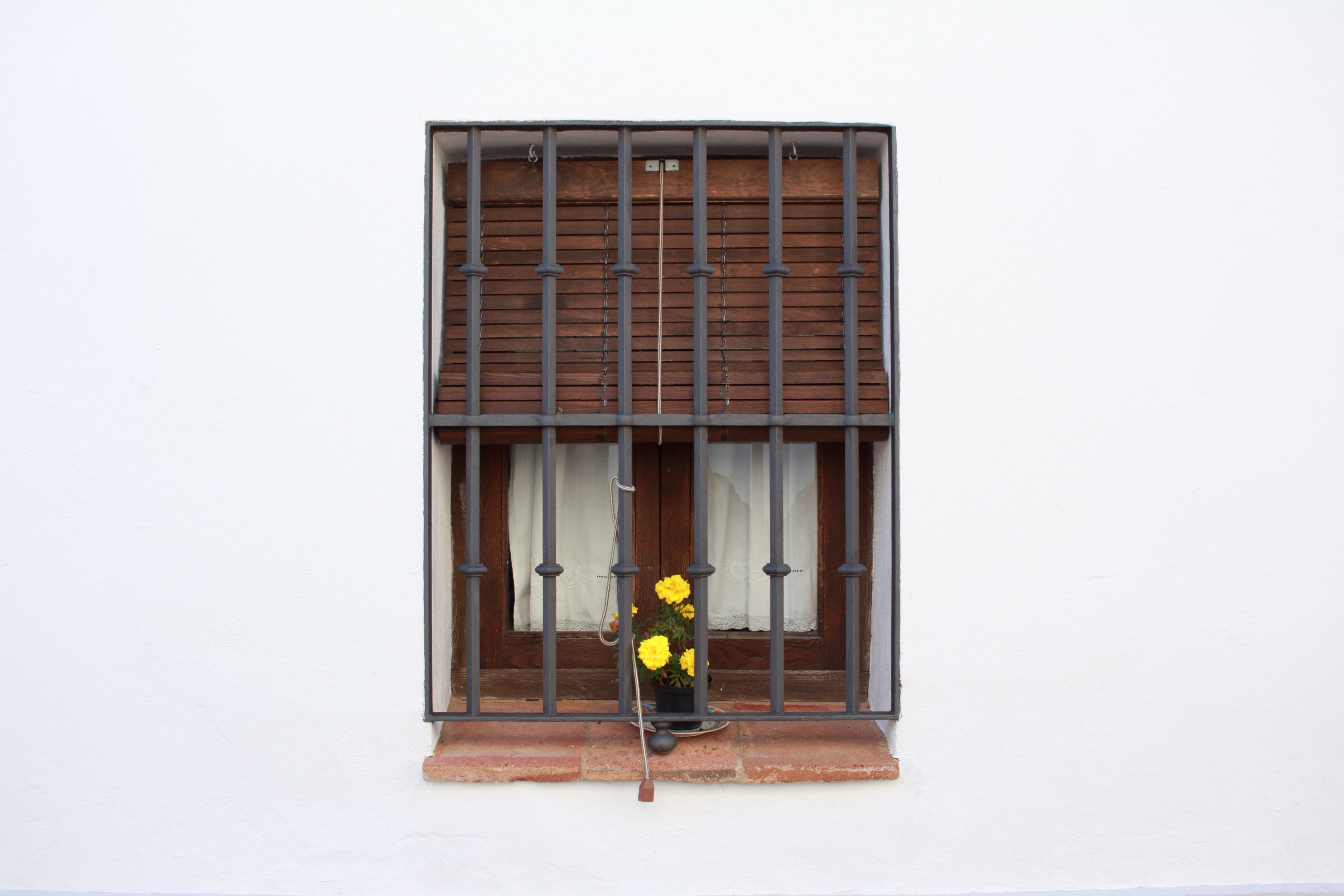 Wallpaper ID: 267652 / window bars shutter and blind hd 4k wallpaper ...