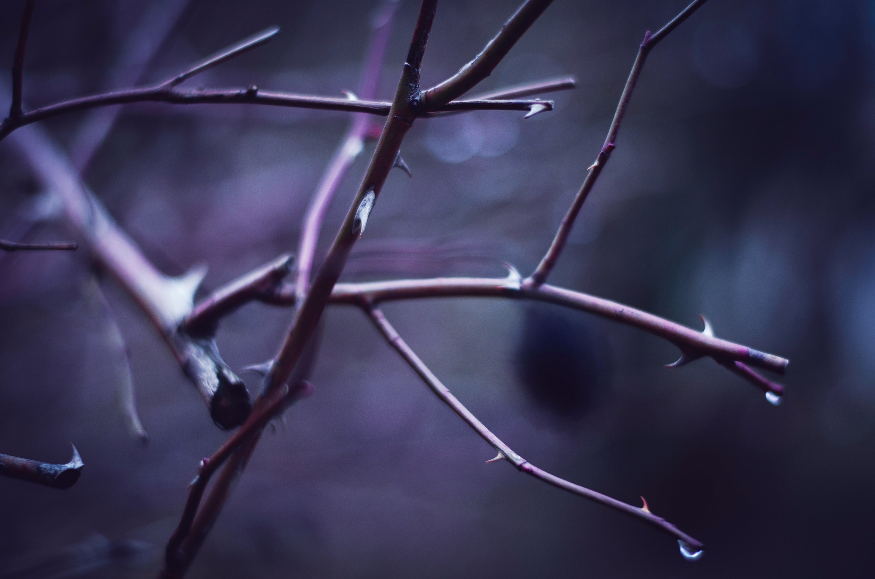 heartbreak 4k HD Wallpaper