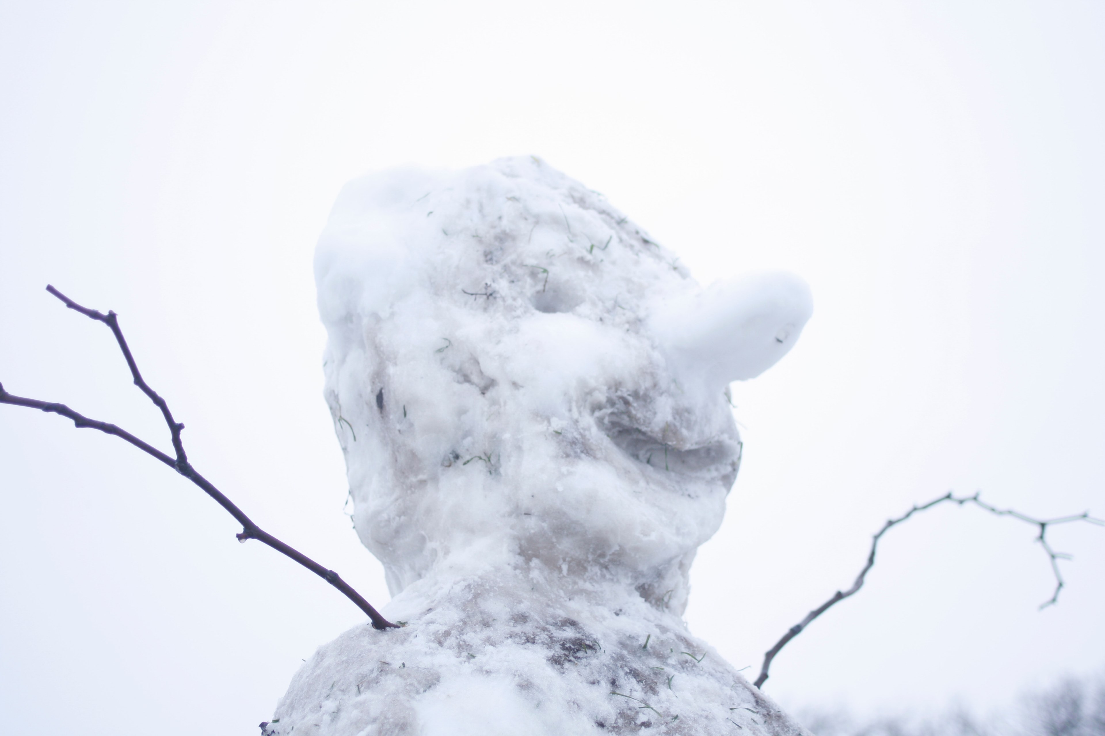 big nose snowman 4k HD Wallpaper