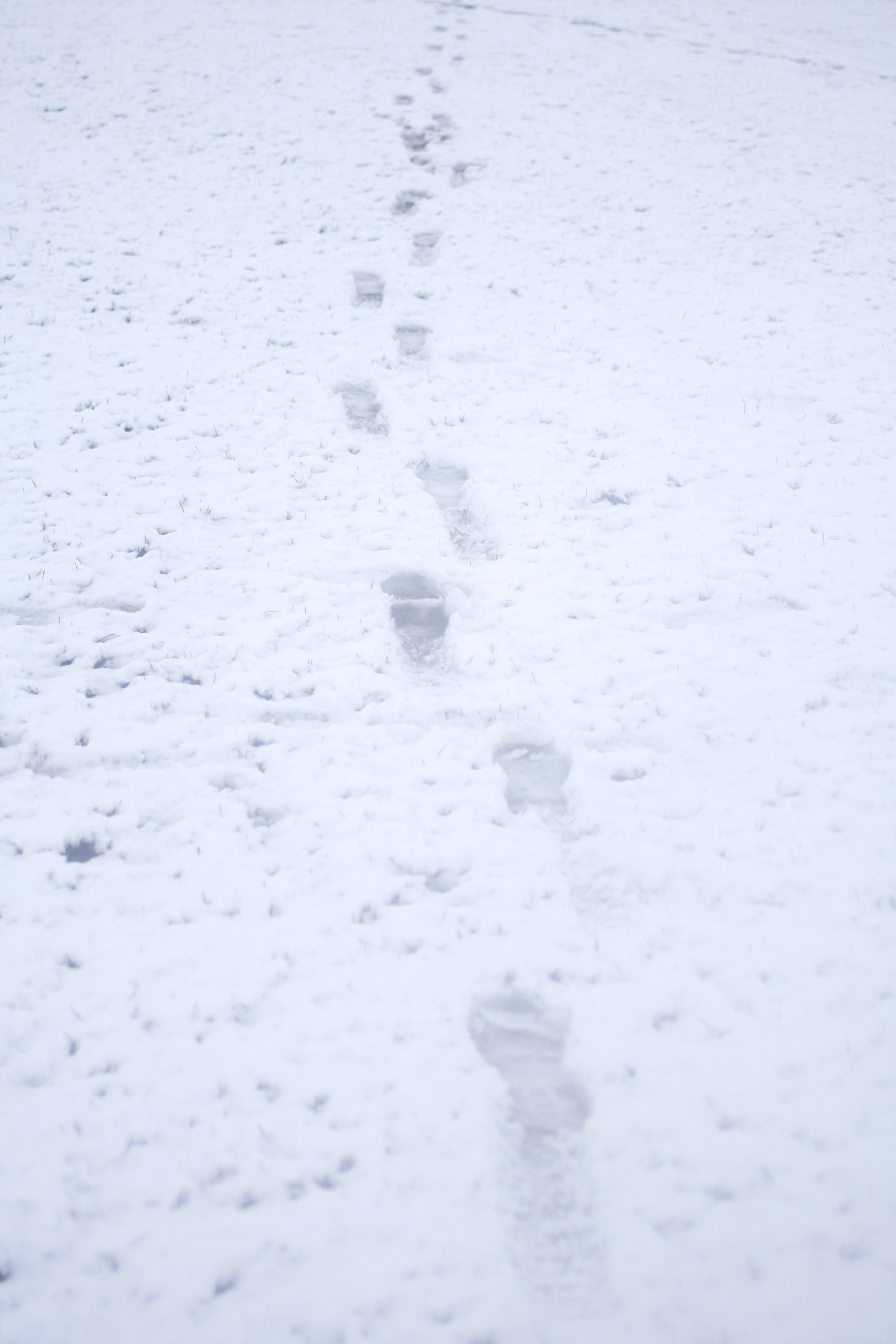 footprint in the snow 4k Phone HD Wallpaper