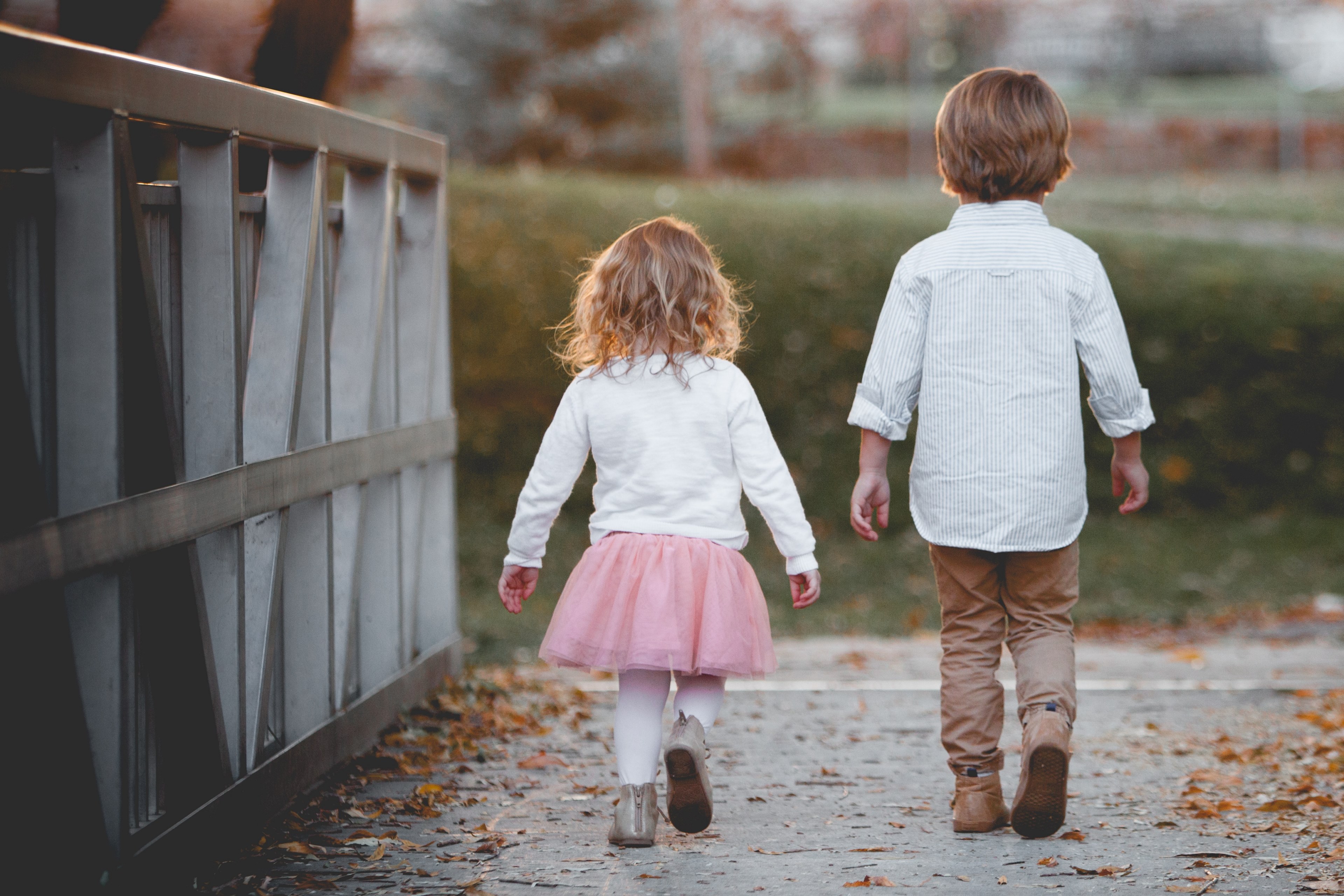 walking in the park 4k HD Wallpaper