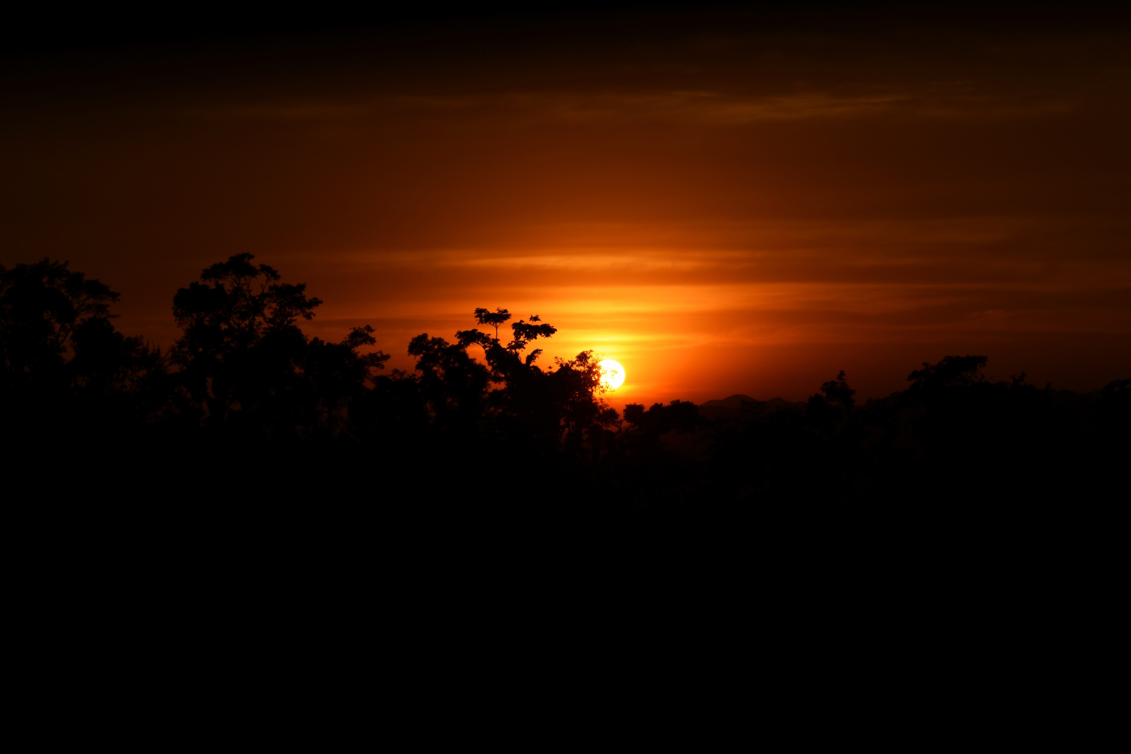 Setting Sun Of The Forest 4K Hd Wallpaper