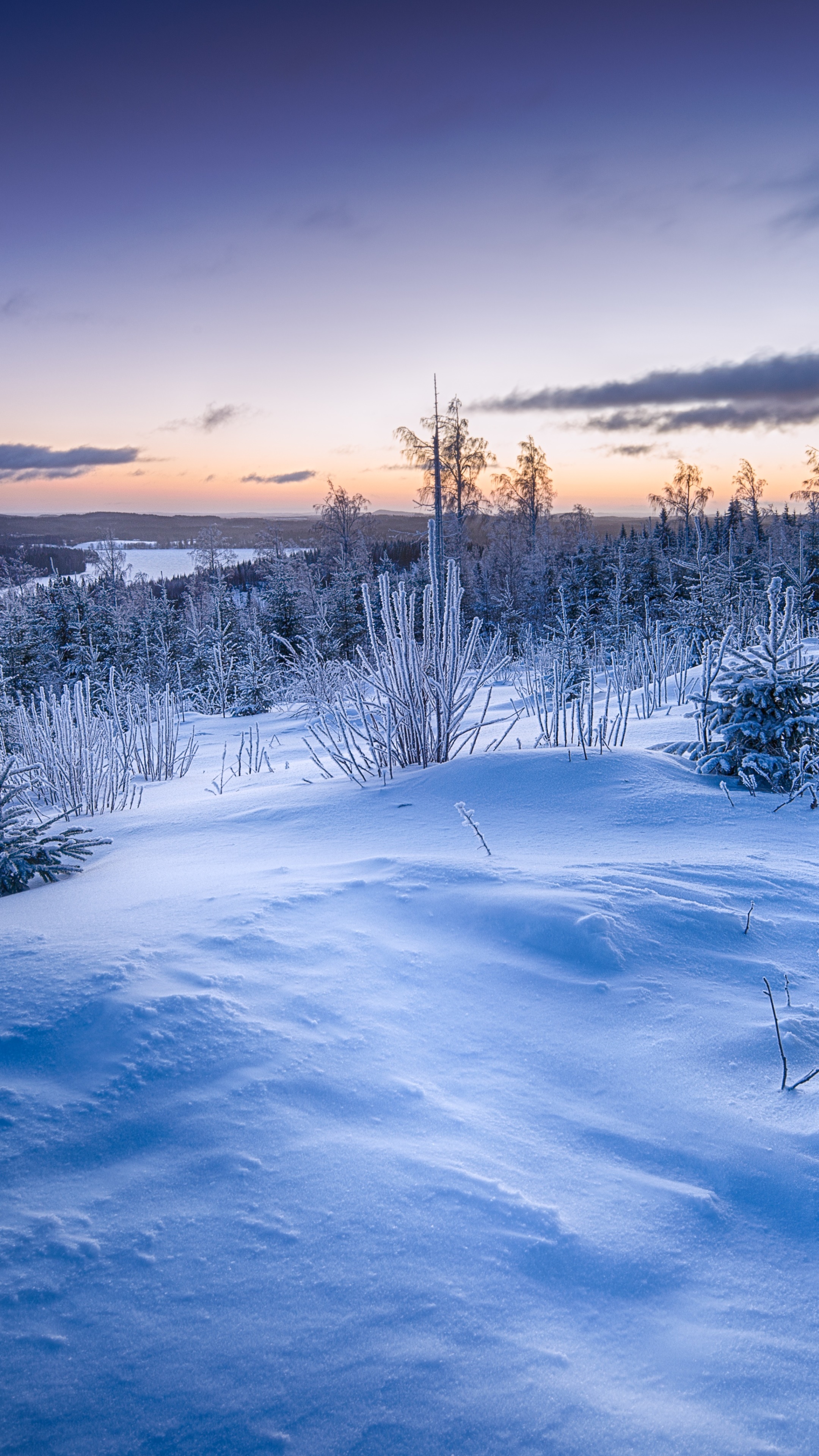 Earth Winter, Nature, Landscape, Snow, Horizon, 2160x3840 Phone HD ...