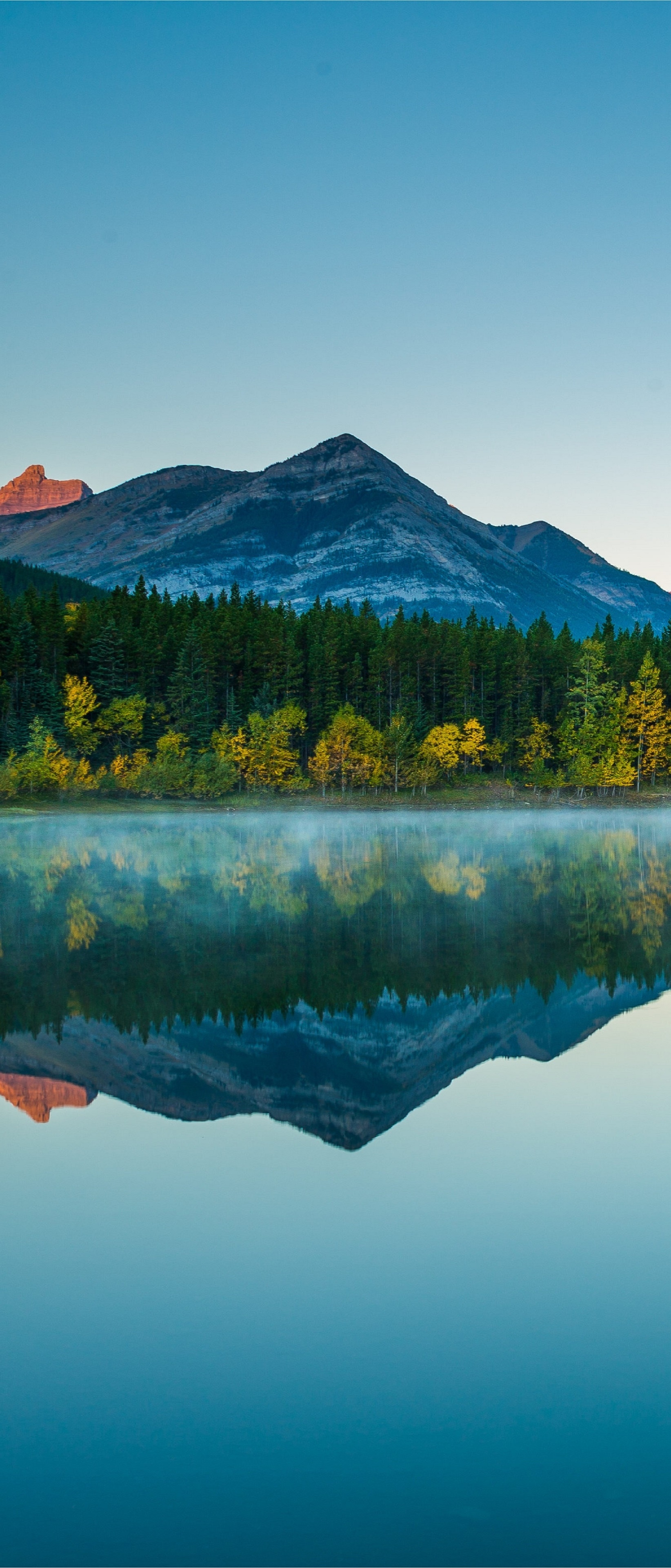 Earth Reflection, 1644X3840 Phone Hd Wallpaper