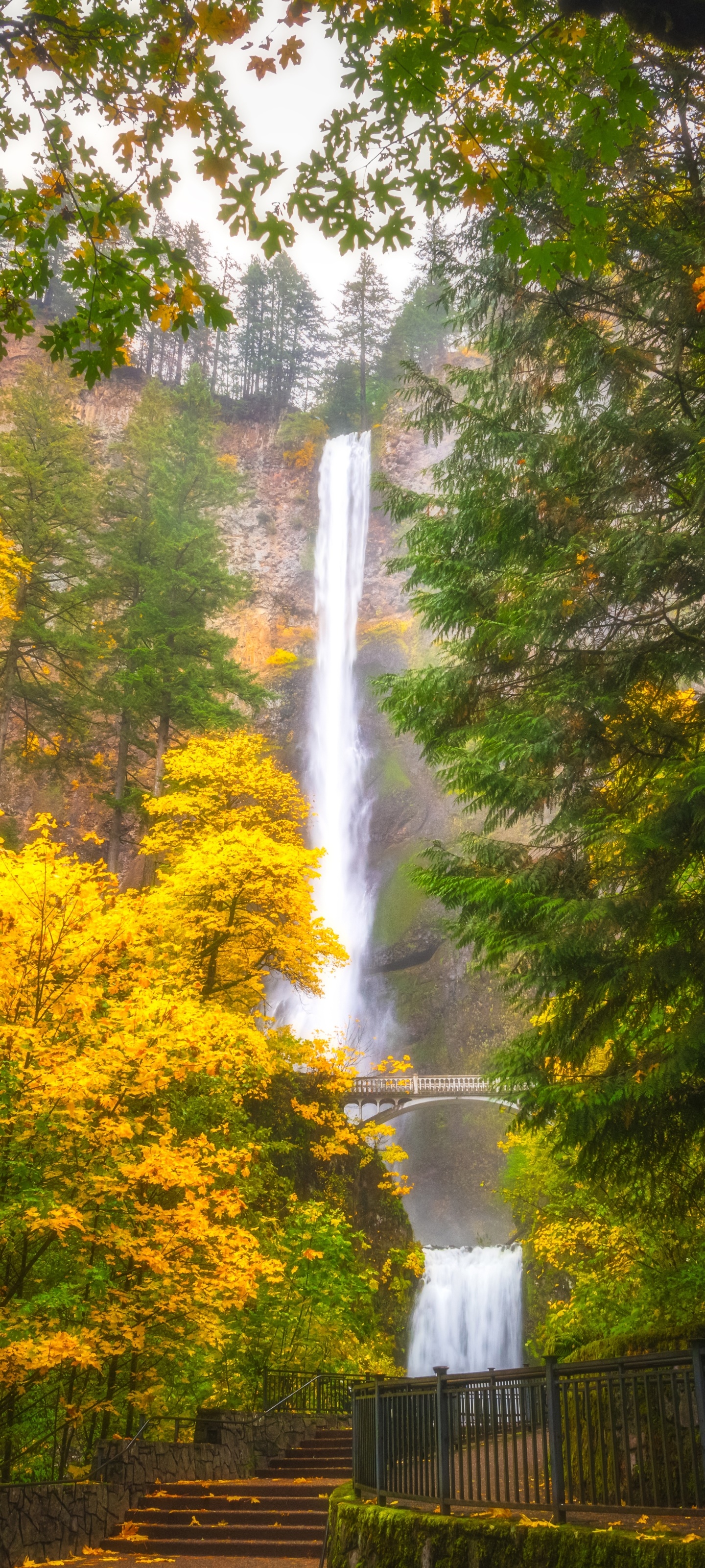 Earth Waterfall, Multnomah Falls, Fall, Oregon, 1440X3200 Phone Hd ...
