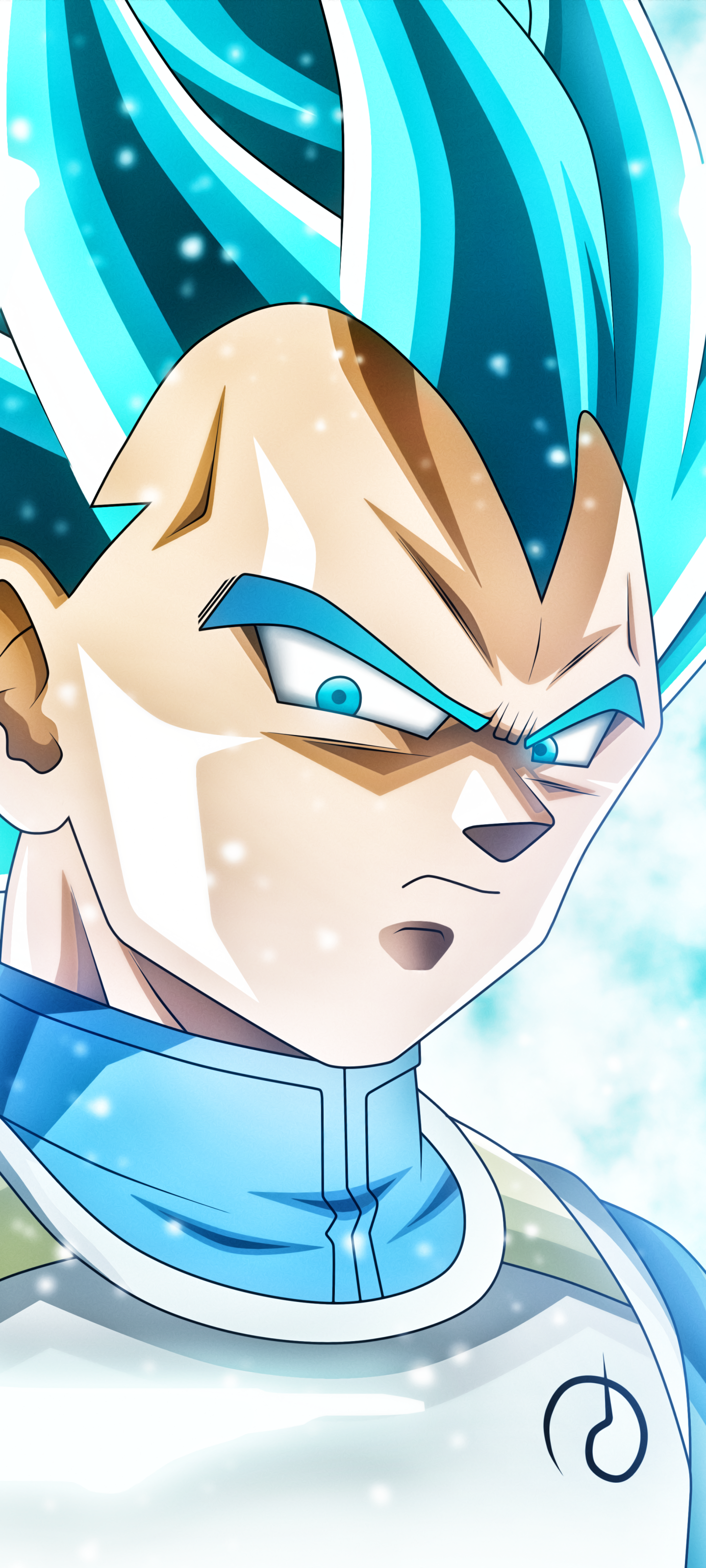 Anime Dragon Ball Super, Vegeta (Dragon Ball), 1440x3200 Phone HD Wallpaper