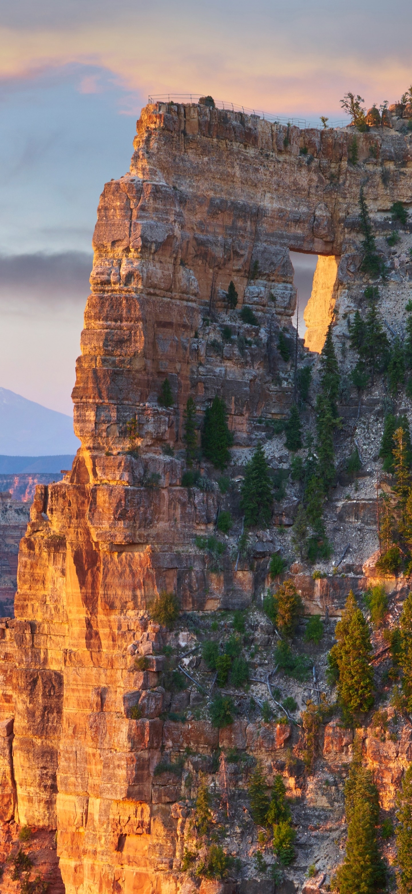 Wallpaper ID: 307478 / Earth Cliff Phone Wallpaper, , 1440x3120 free ...