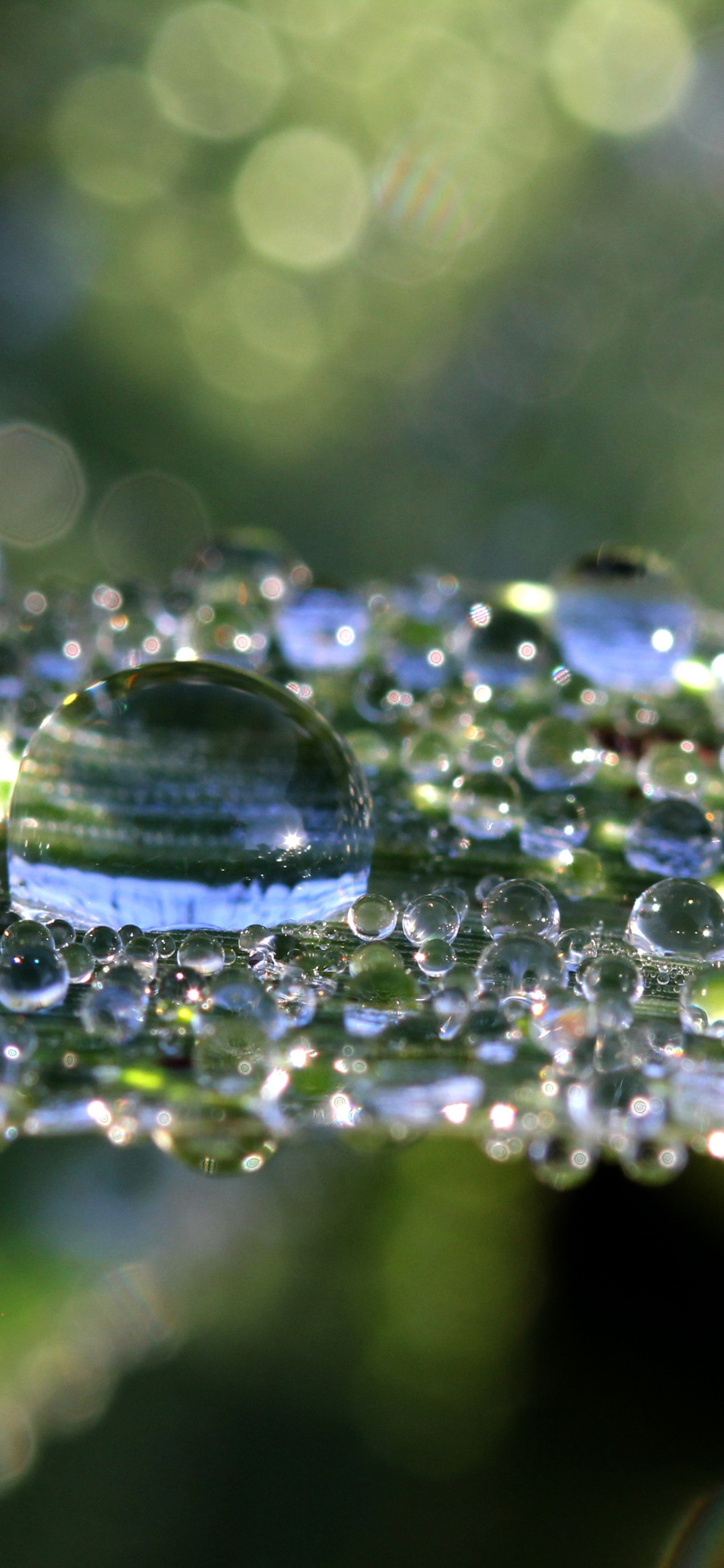 «Water Drop phone wallpaper» 1080P, 2k, 4k Full HD Wallpapers ...