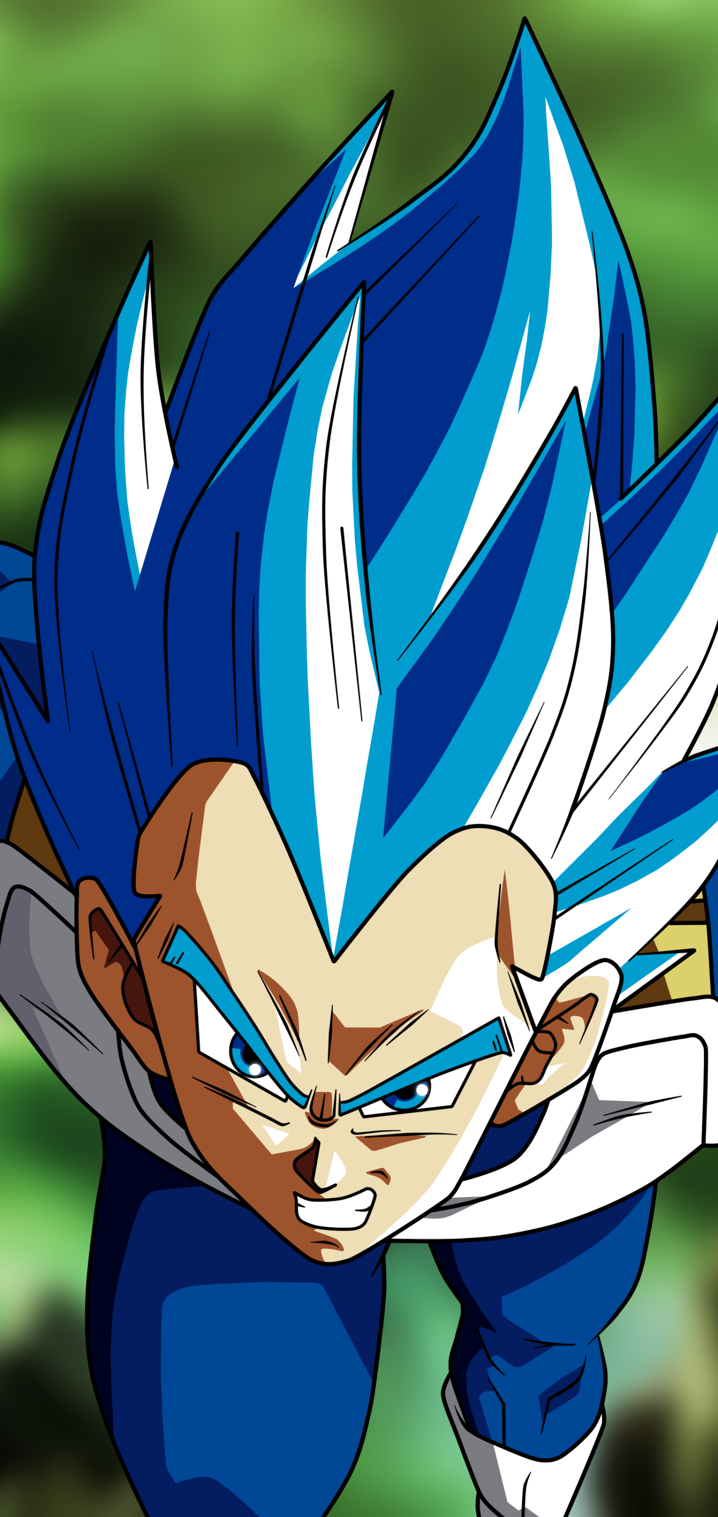 Anime Dragon Ball Super, Vegeta (Dragon Ball), 1440X3040 Phone Hd Wallpaper