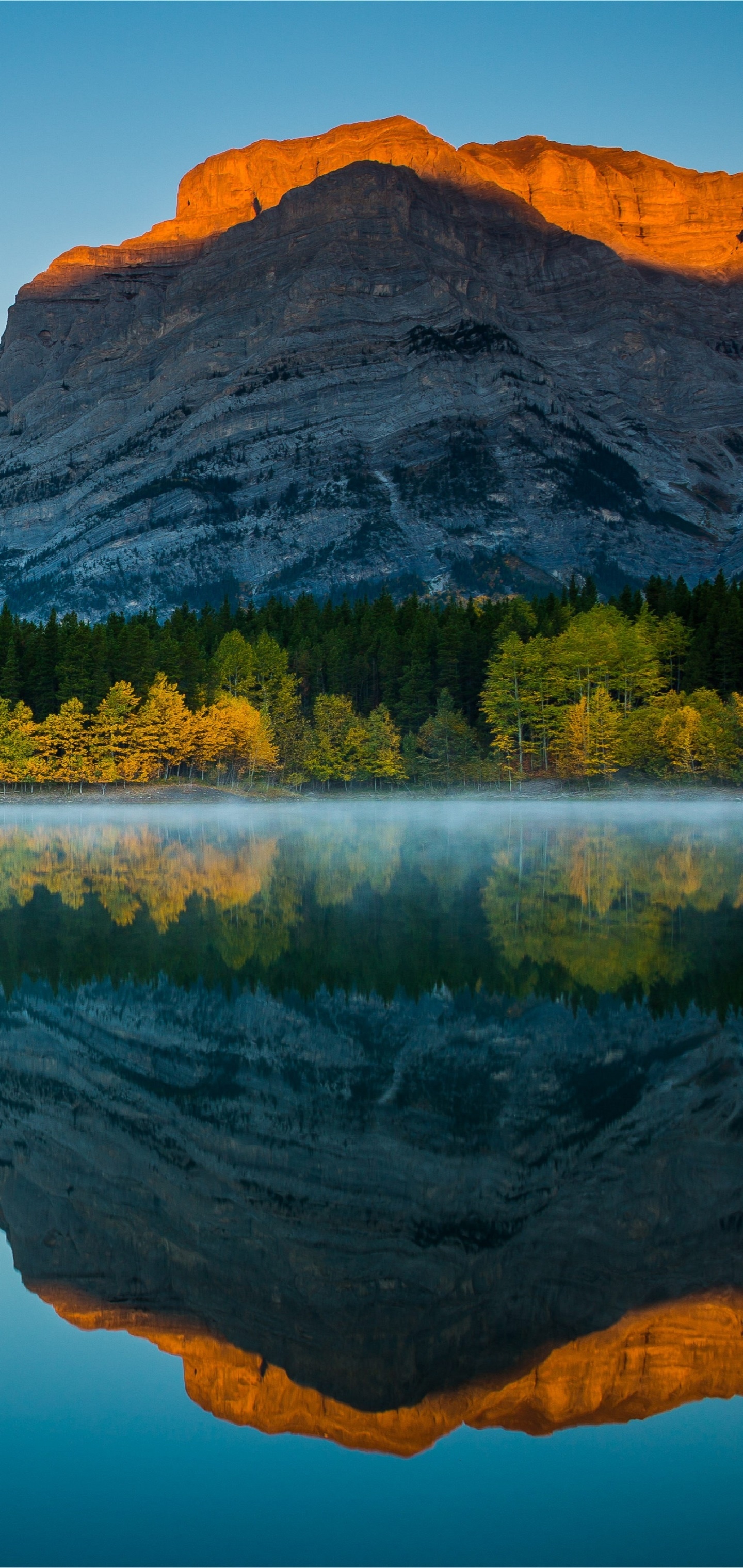 «Reflection phone wallpaper» HD Wallpapers