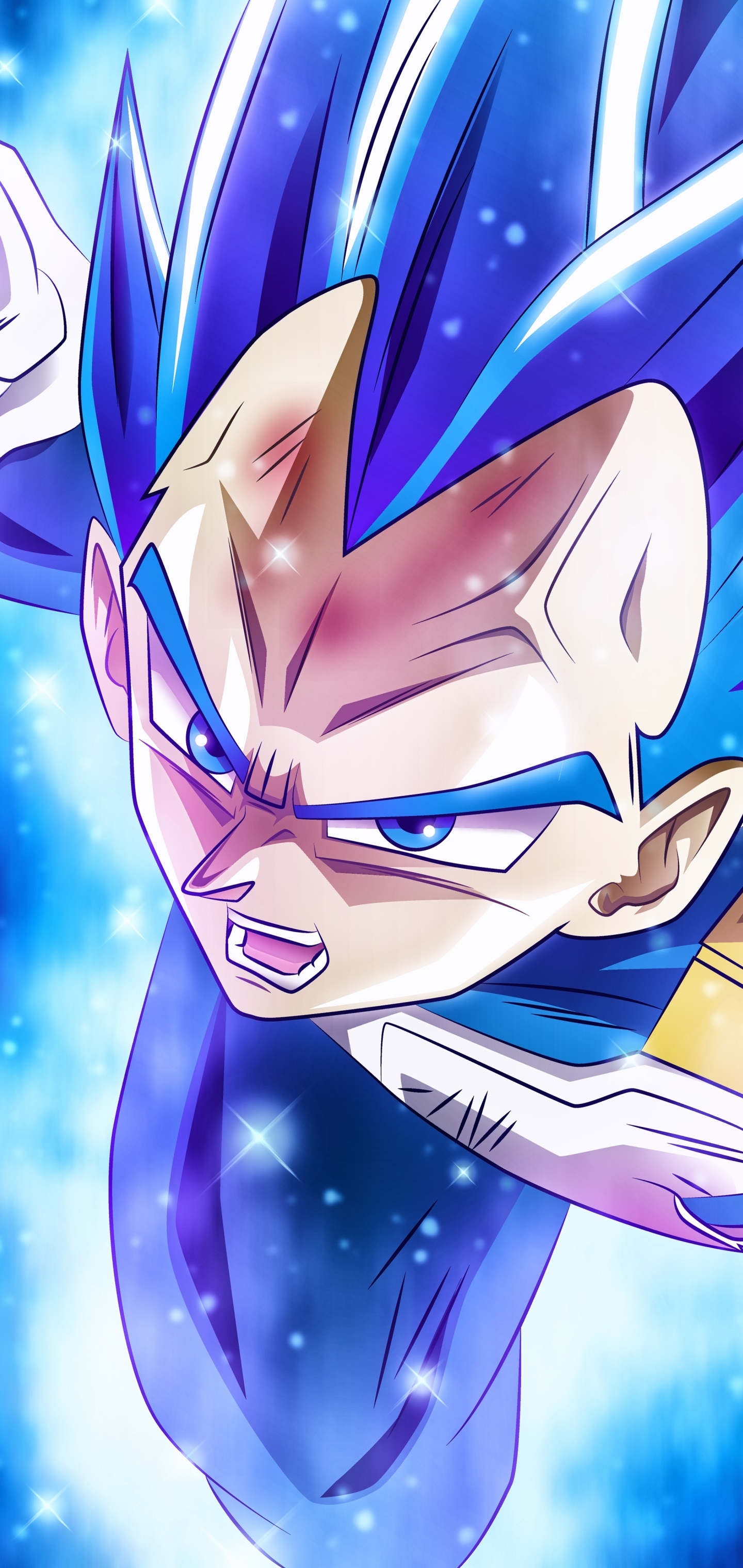 Anime Dragon Ball Super, Vegeta (Dragon Ball), 1440x3040 Phone HD Wallpaper