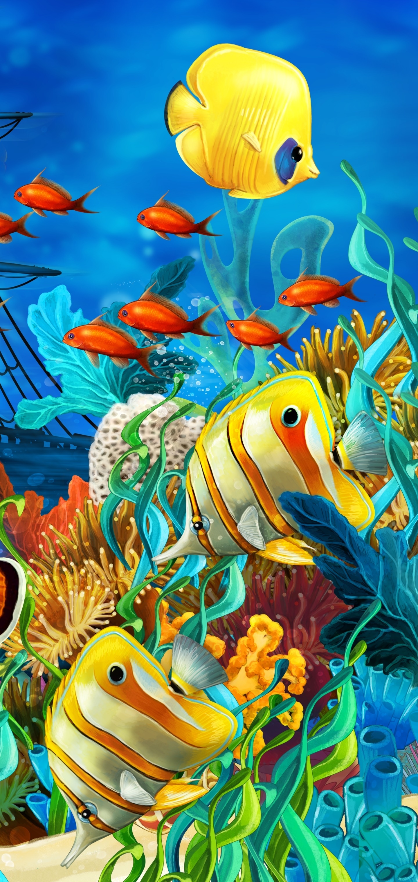 Animal Fish, 1440x3040 Phone HD Wallpaper