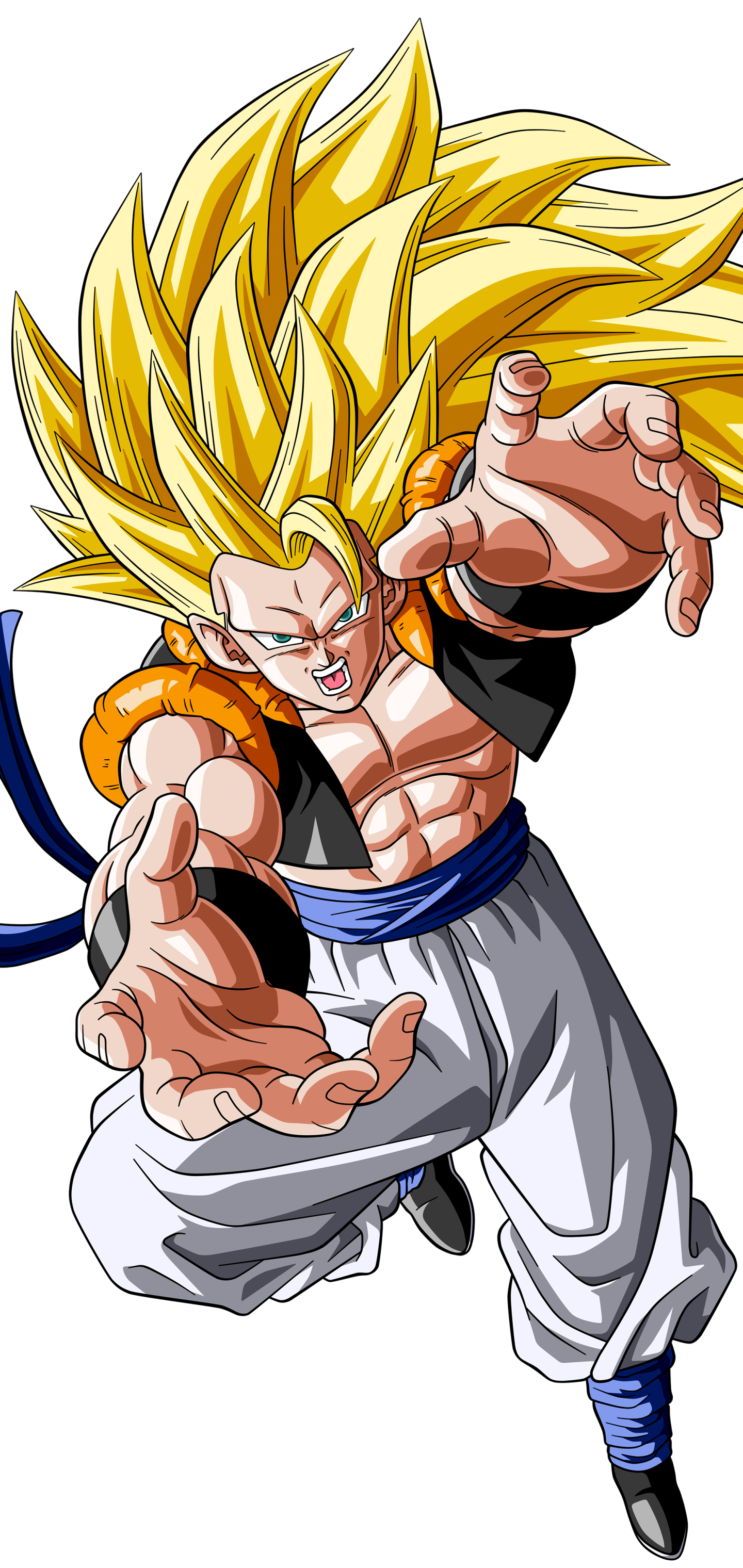 Anime Dragon Ball Z, Gogeta (Dragon Ball), 1440x3040 Phone HD Wallpaper