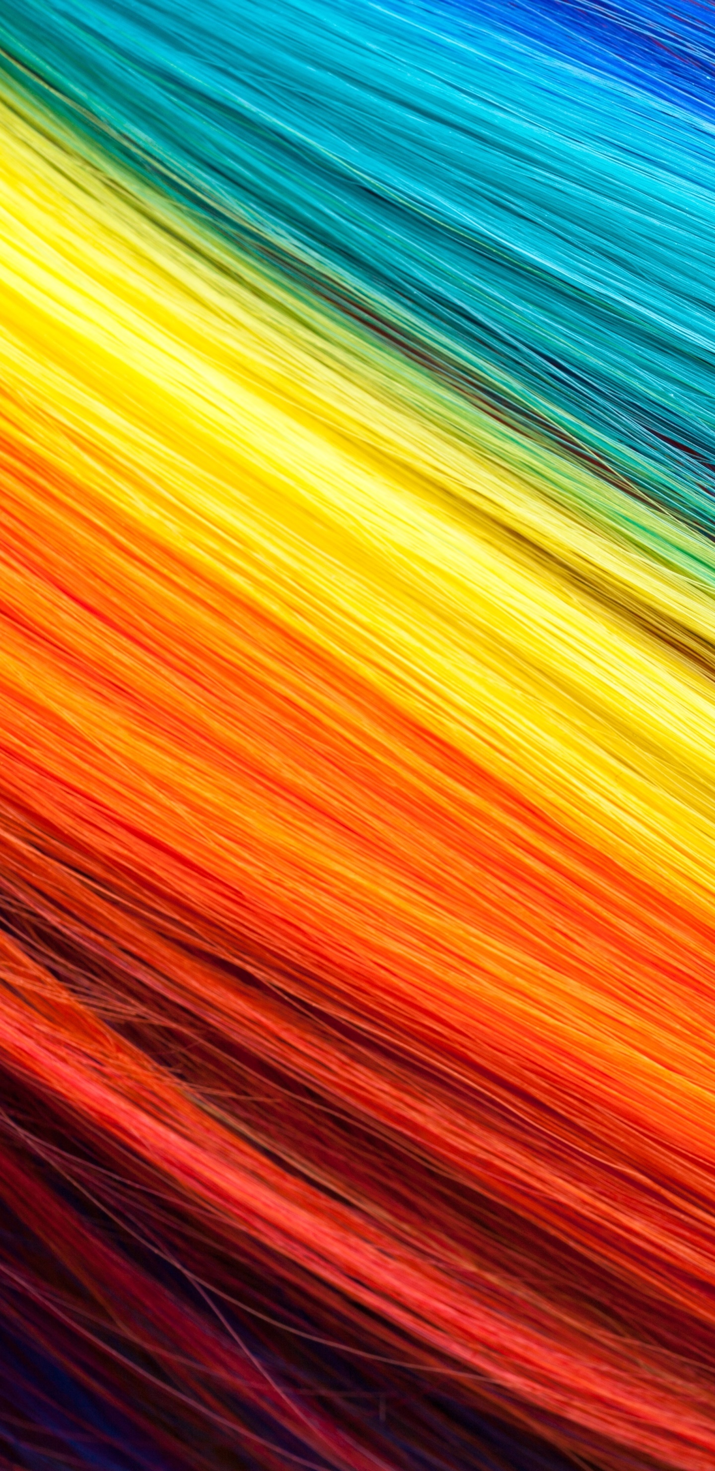 Abstract Colors, Colorful, 1440X2960 Phone Hd Wallpaper