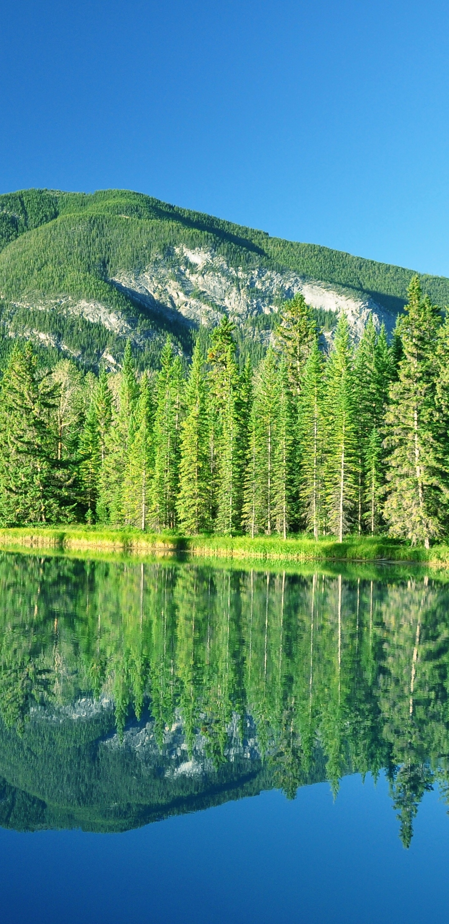 Earth Reflection, Banff National Park, Mountain, Tree, Canada ...