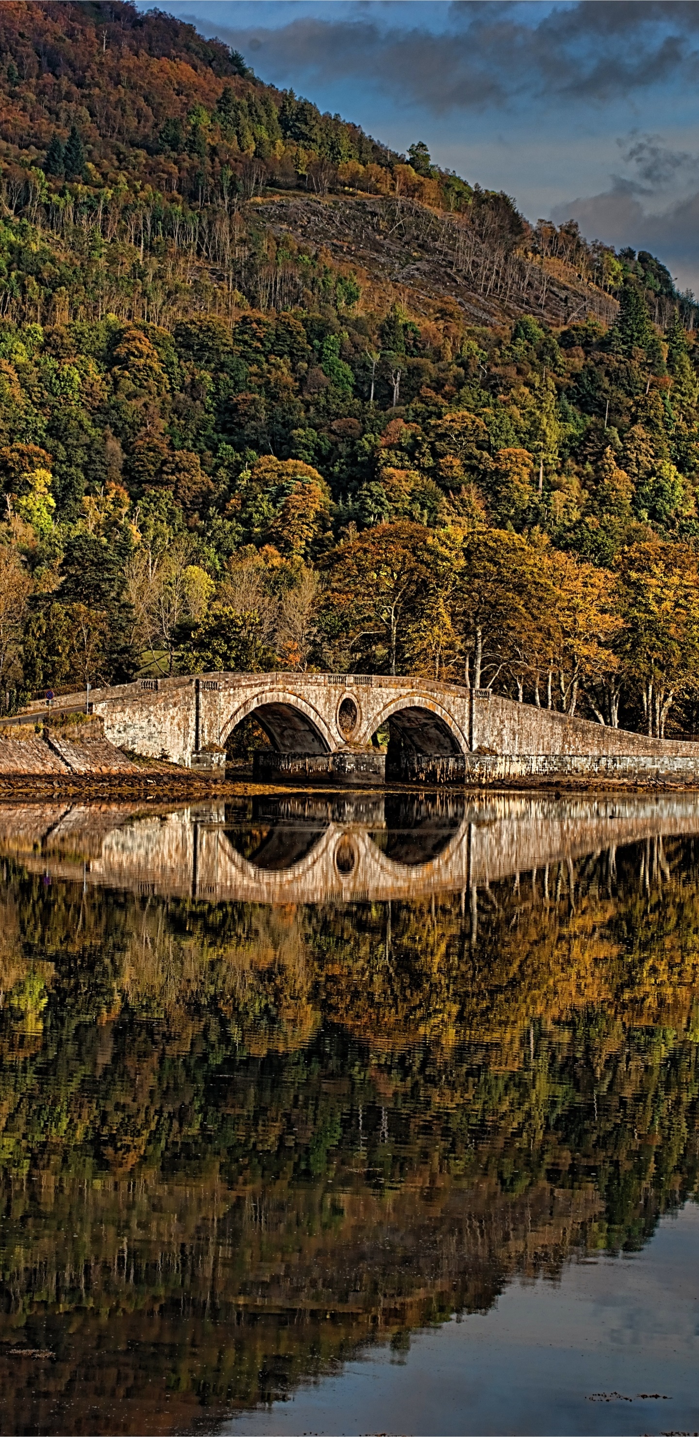 Photography Reflection, Forest, Bridge, Water, Nature, 1440x2960 Phone ...