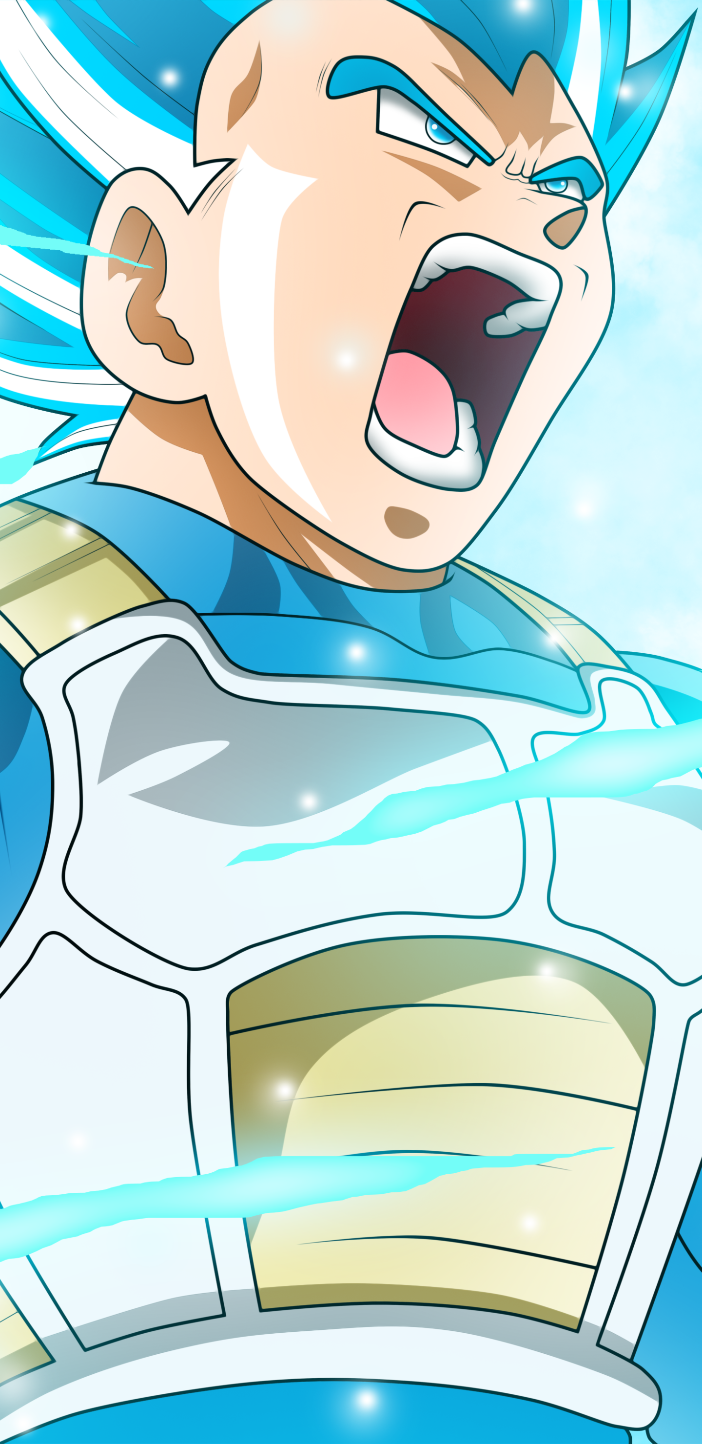Anime Dragon Ball Super, Vegeta (Dragon Ball), 1440x2960 Phone HD Wallpaper