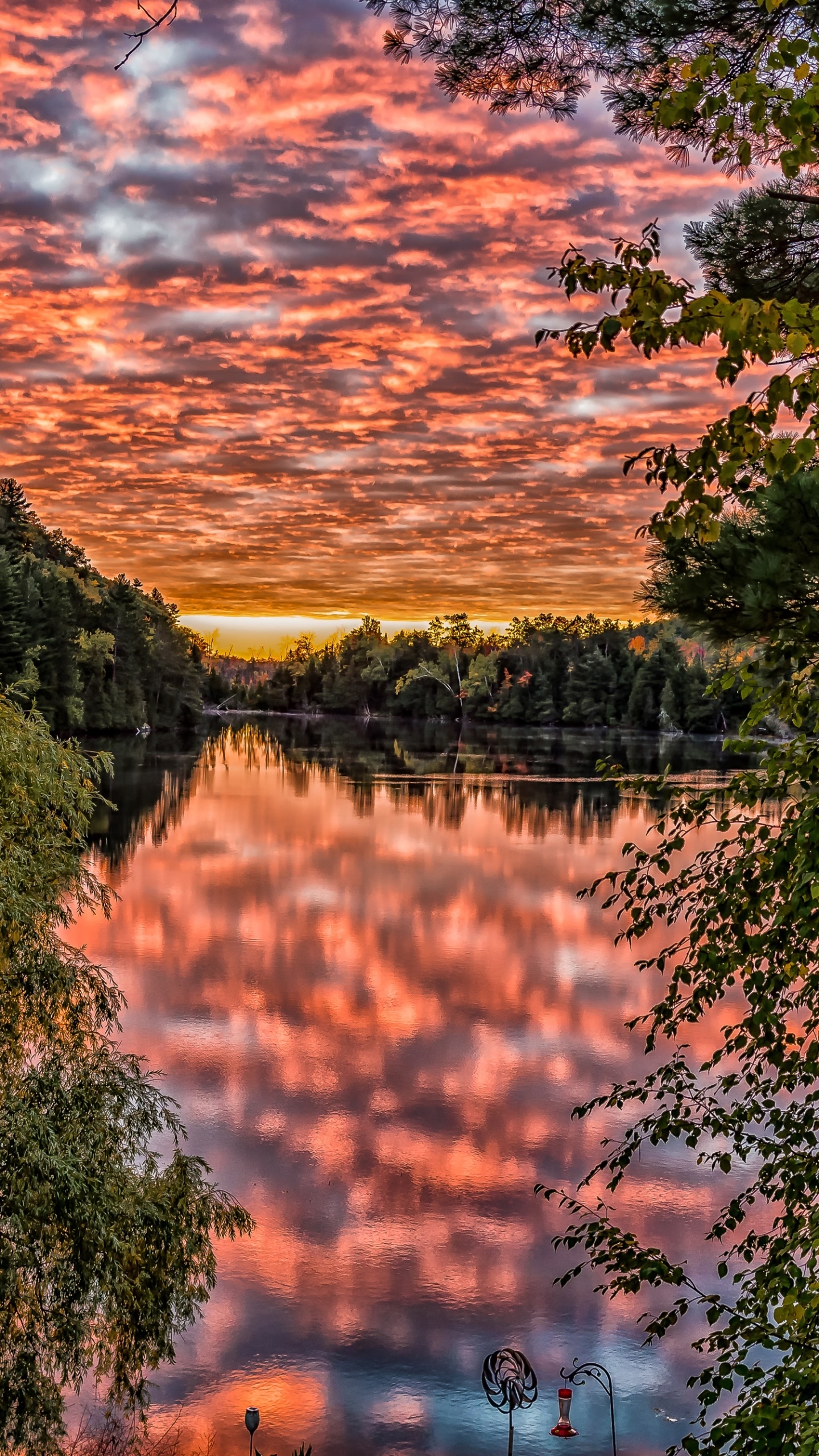 «Reflection phone wallpaper» HD Wallpapers