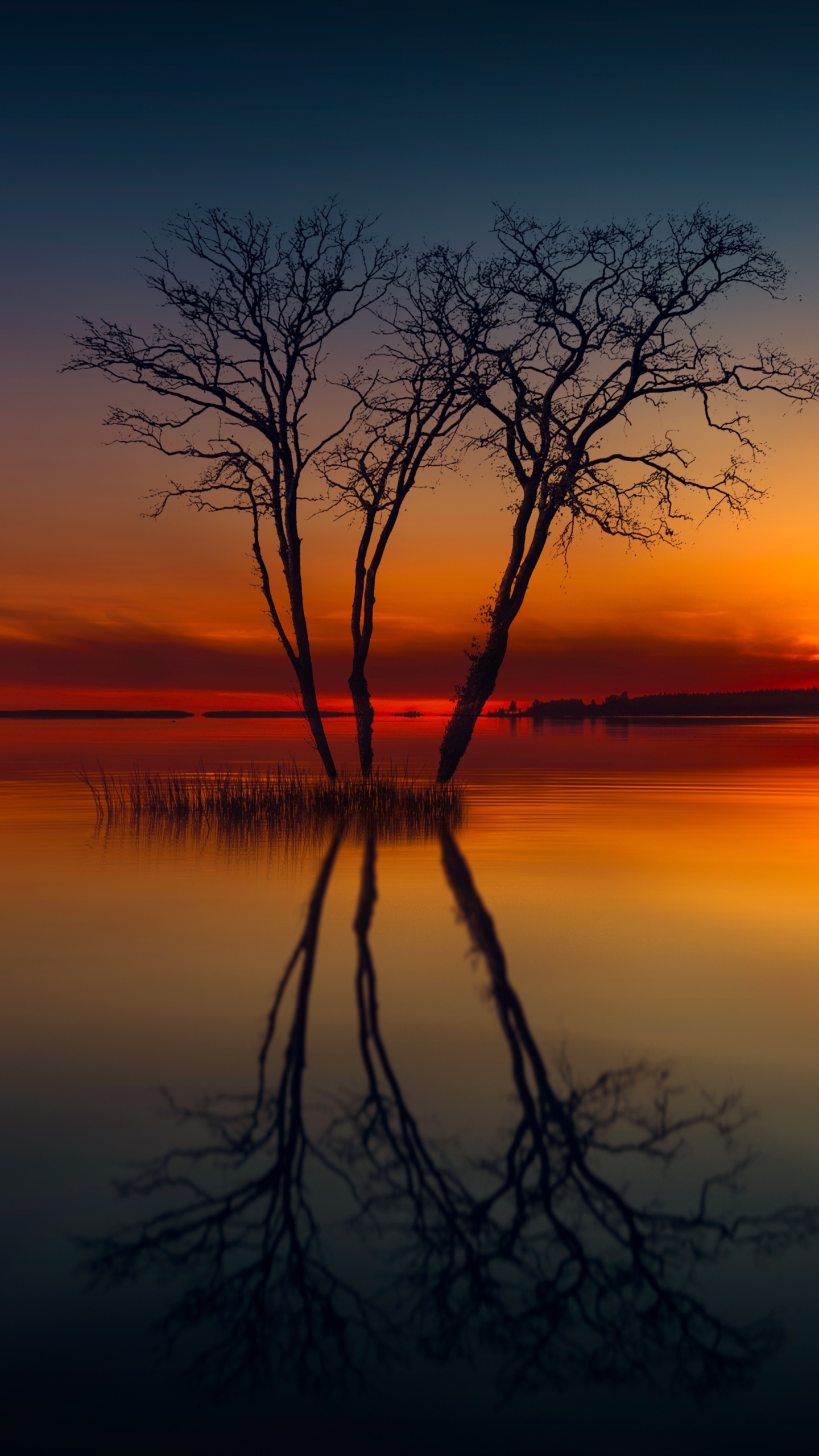 «Reflection phone wallpaper» HD Wallpapers
