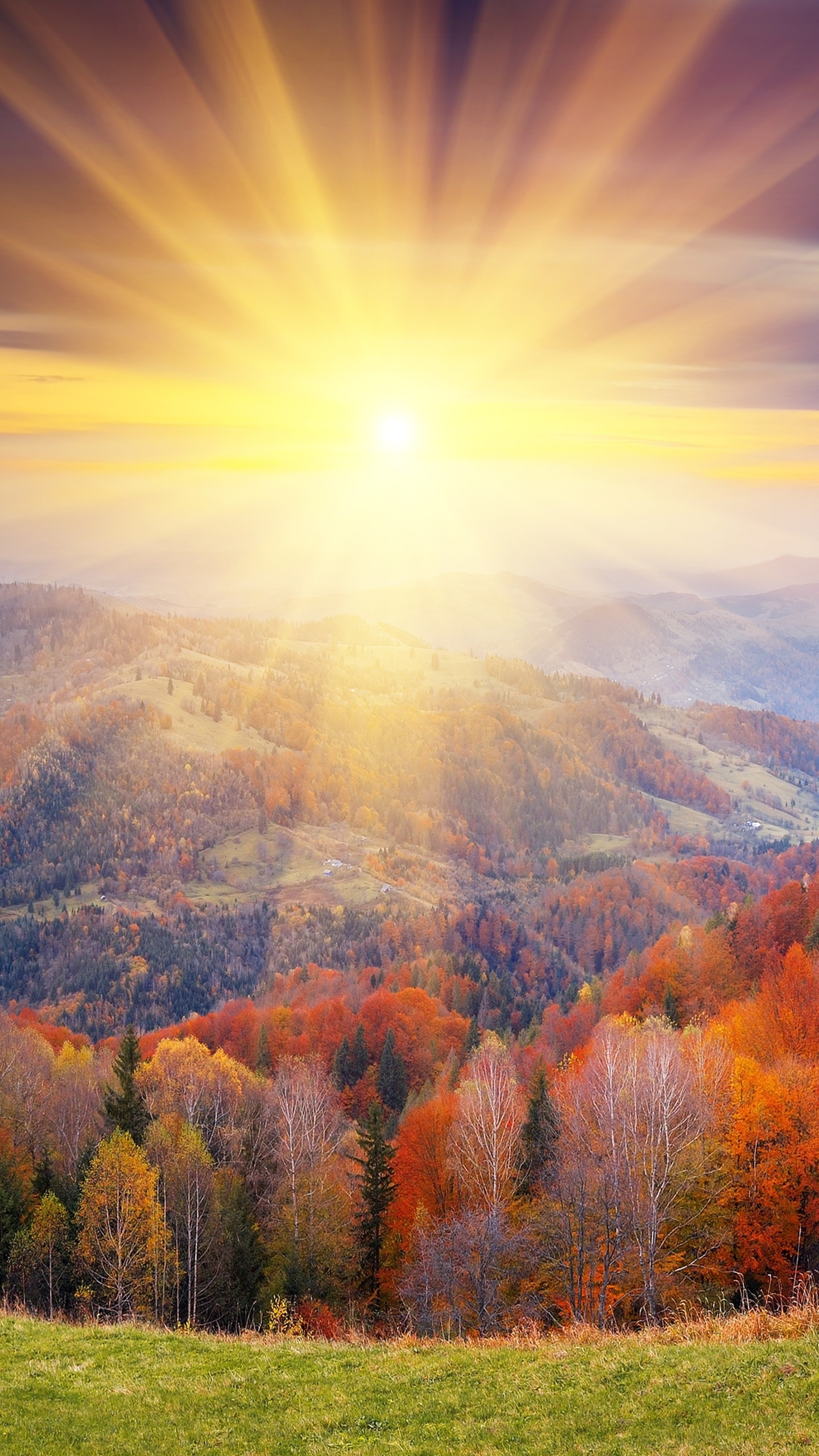 Earth Fall, Mountain, Sunrise, Landscape, Scenic, Forest, 1440x2560 ...