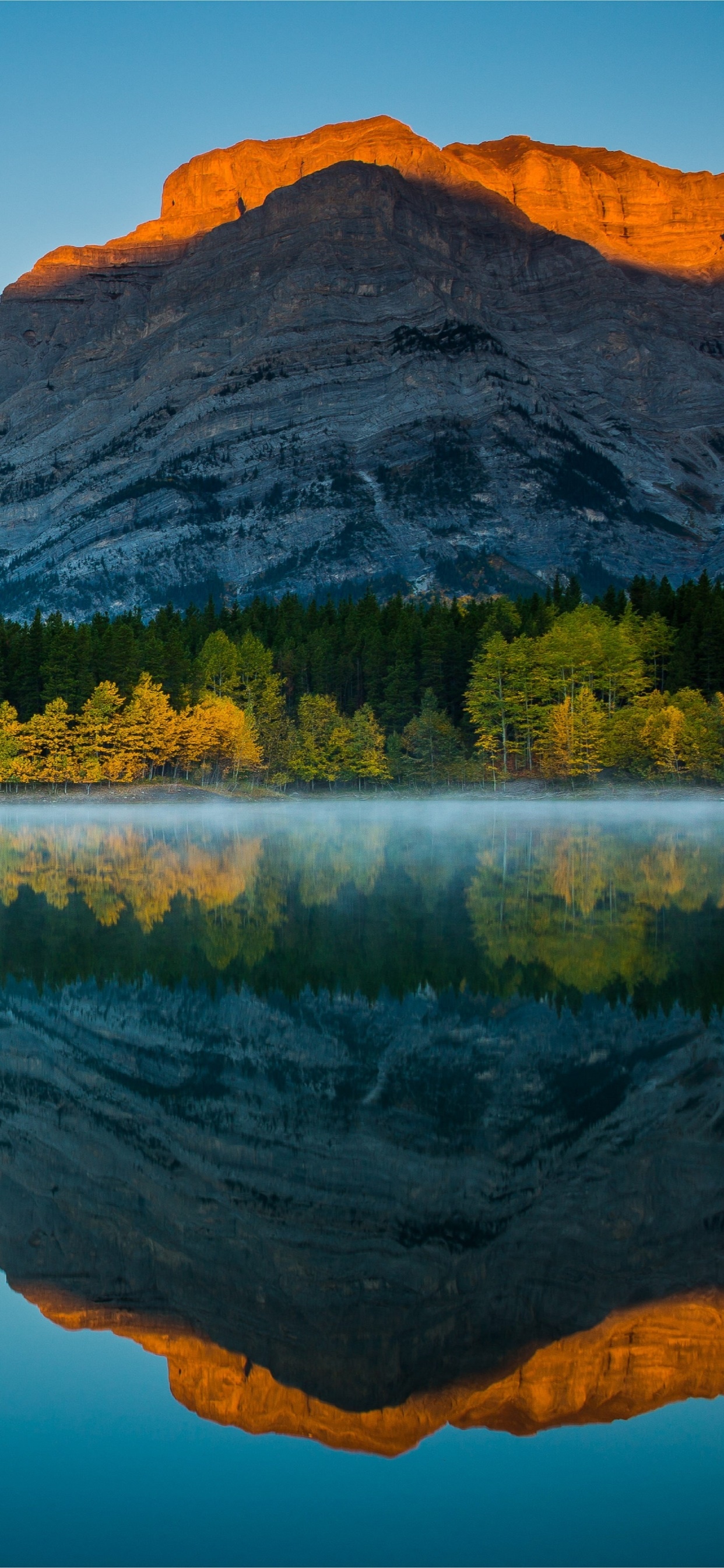 Earth Reflection, 1242X2688 Phone Hd Wallpaper