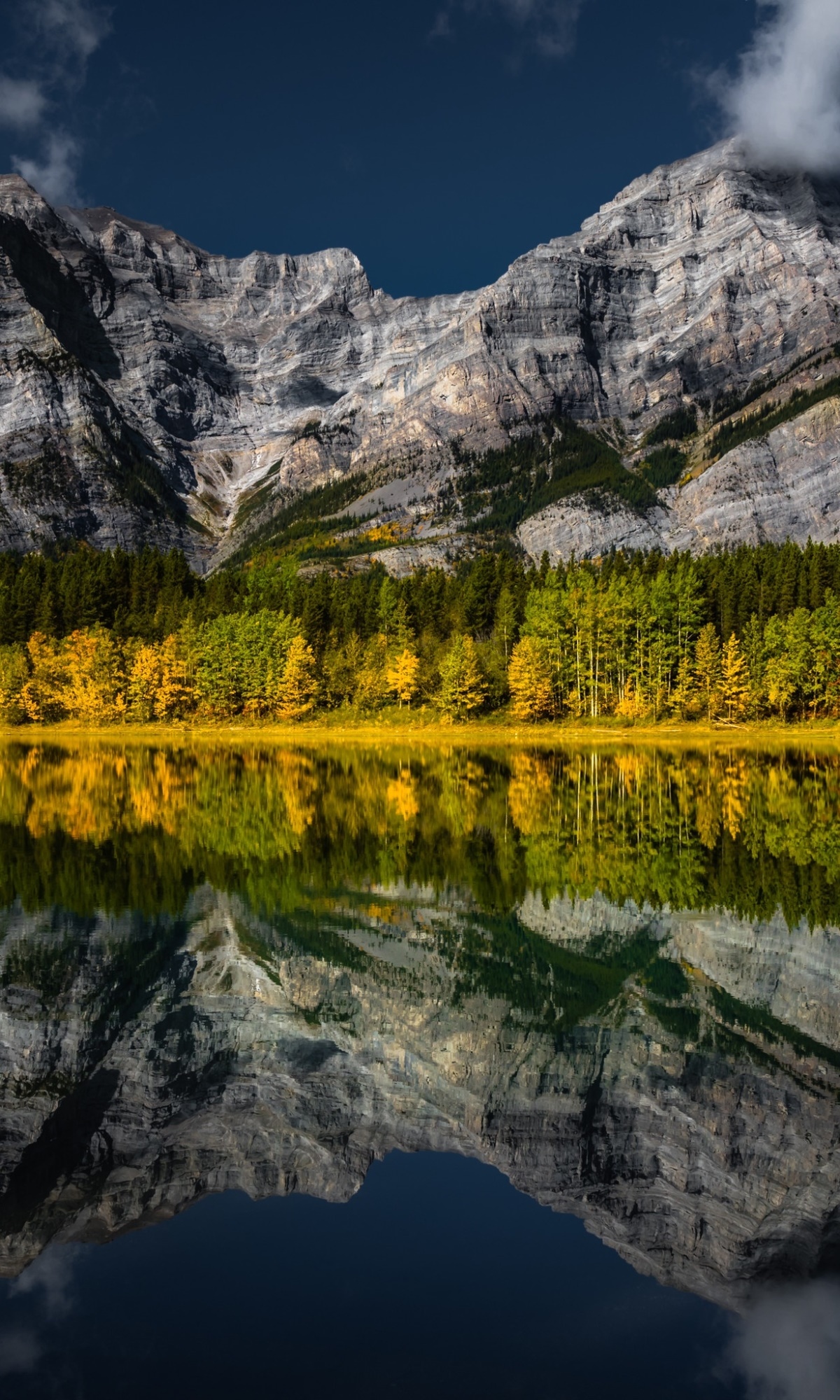 «Reflection phone wallpaper» HD Wallpapers